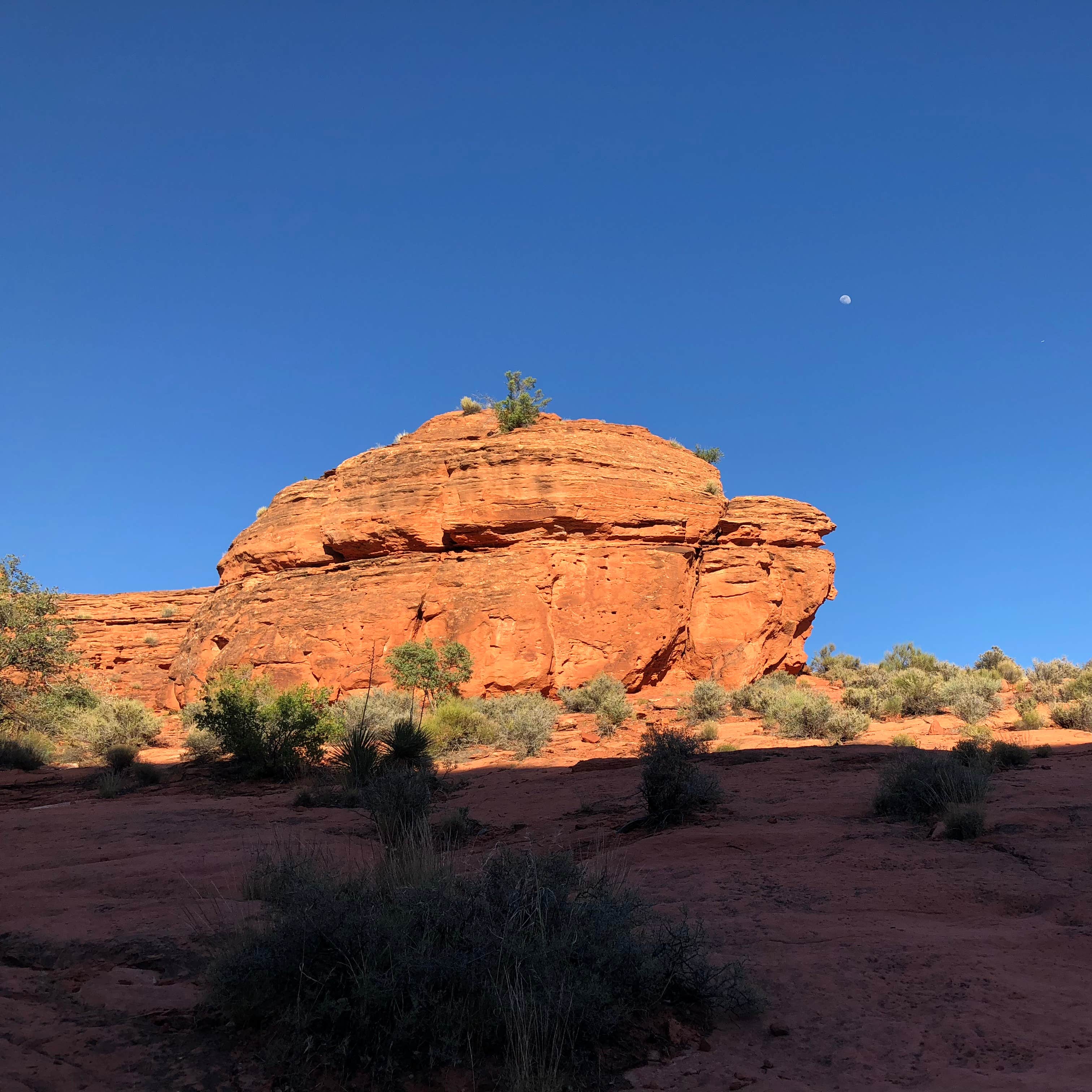 Red Cliffs Campground Camping | The Dyrt