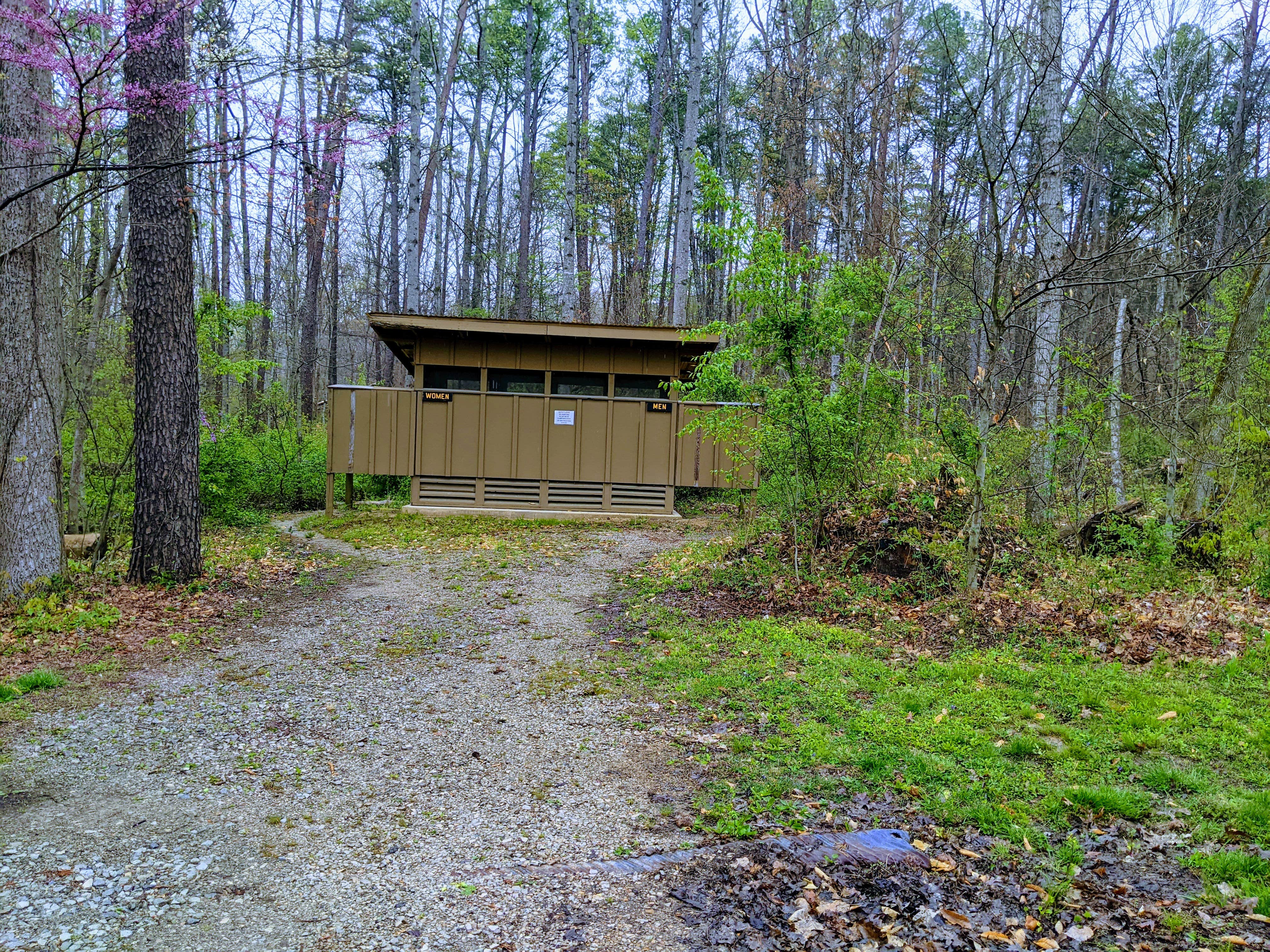 Yellowwood State Forest | The Dyrt