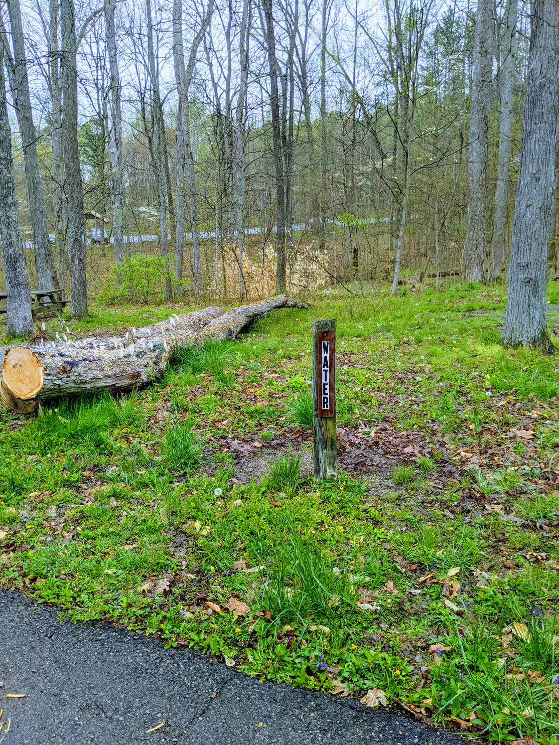 Yellowwood State Forest | The Dyrt