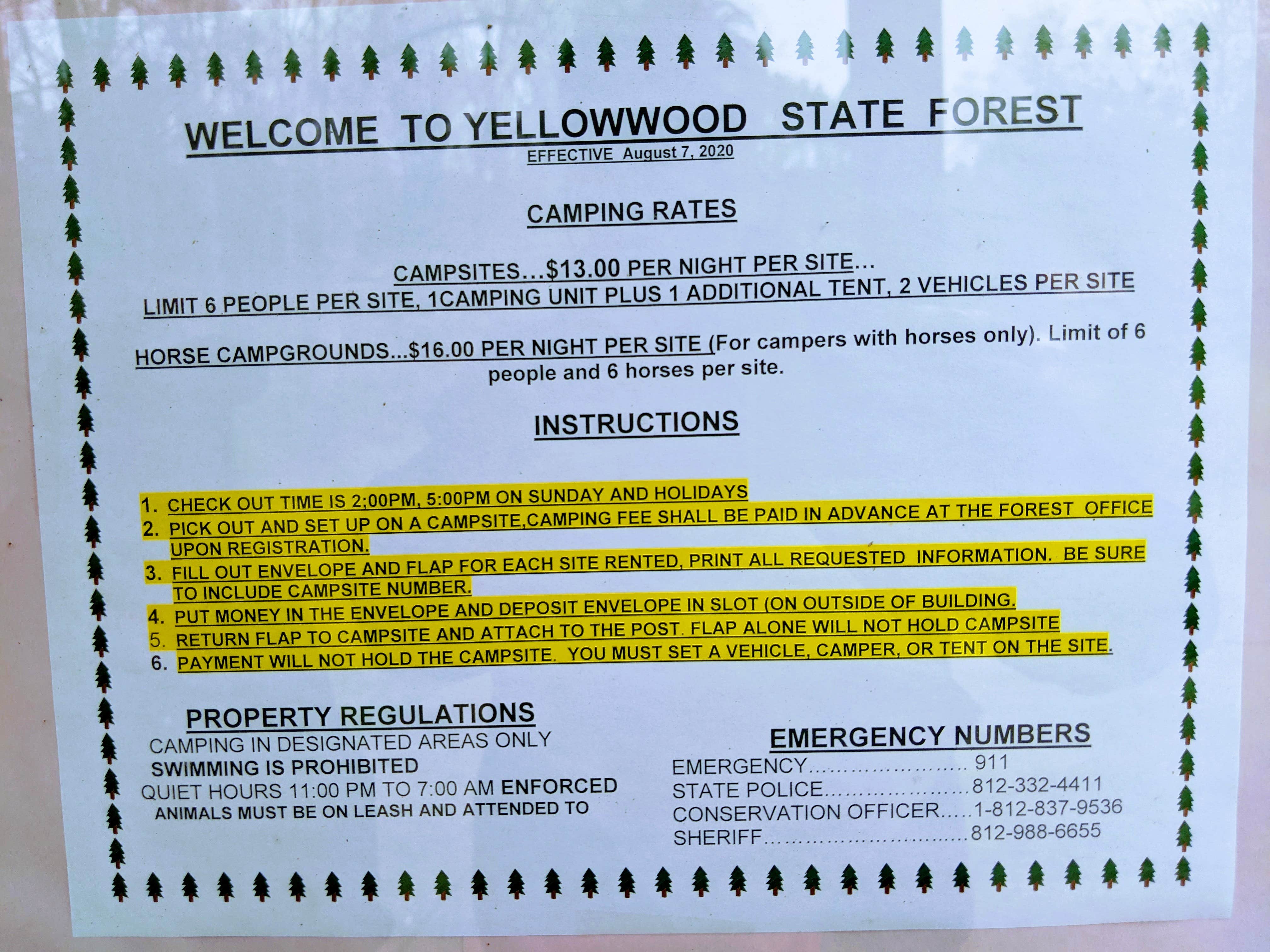 Yellowwood State Forest Camping | Unionville, Indiana