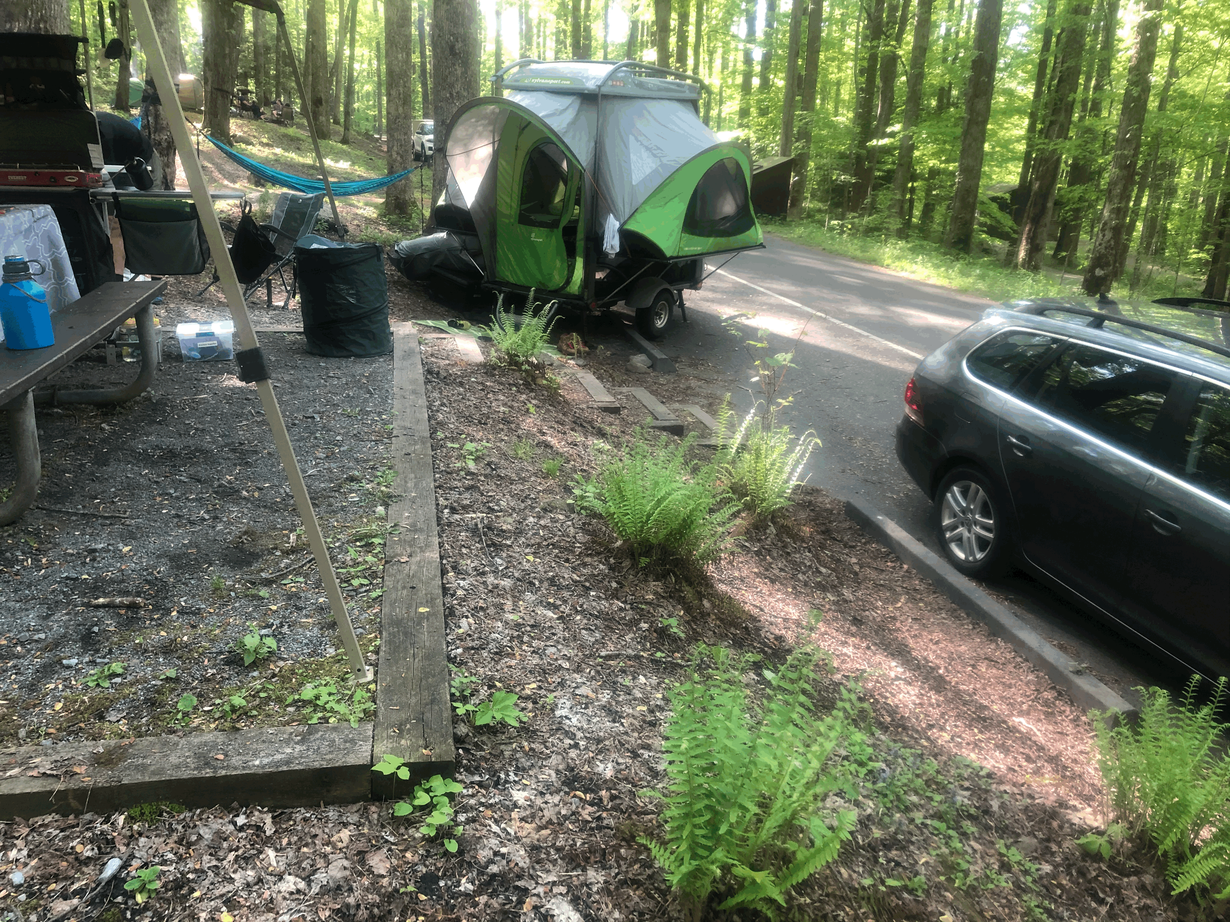 Cosby Campground | The Dyrt