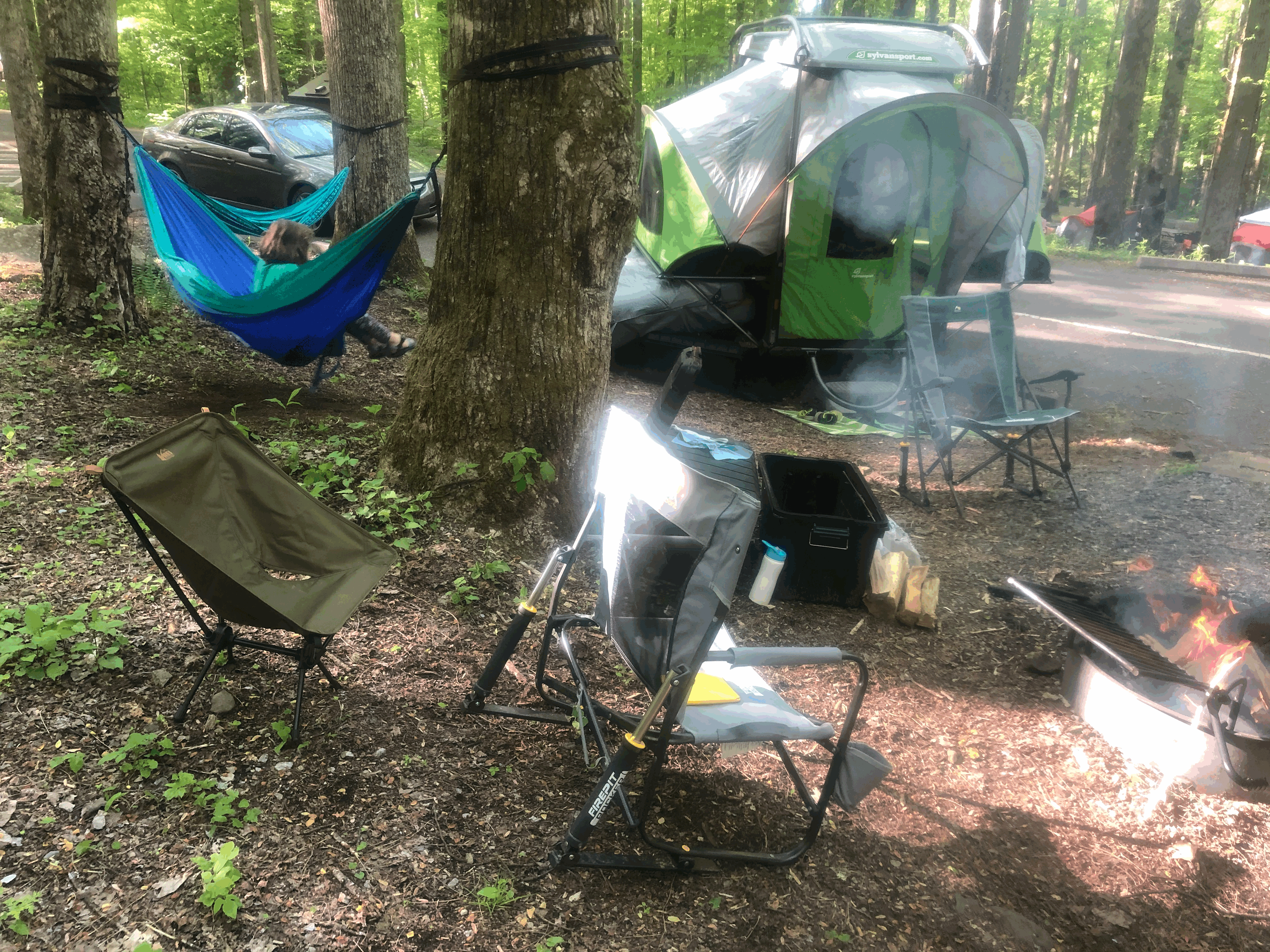 Cosby Campground | The Dyrt