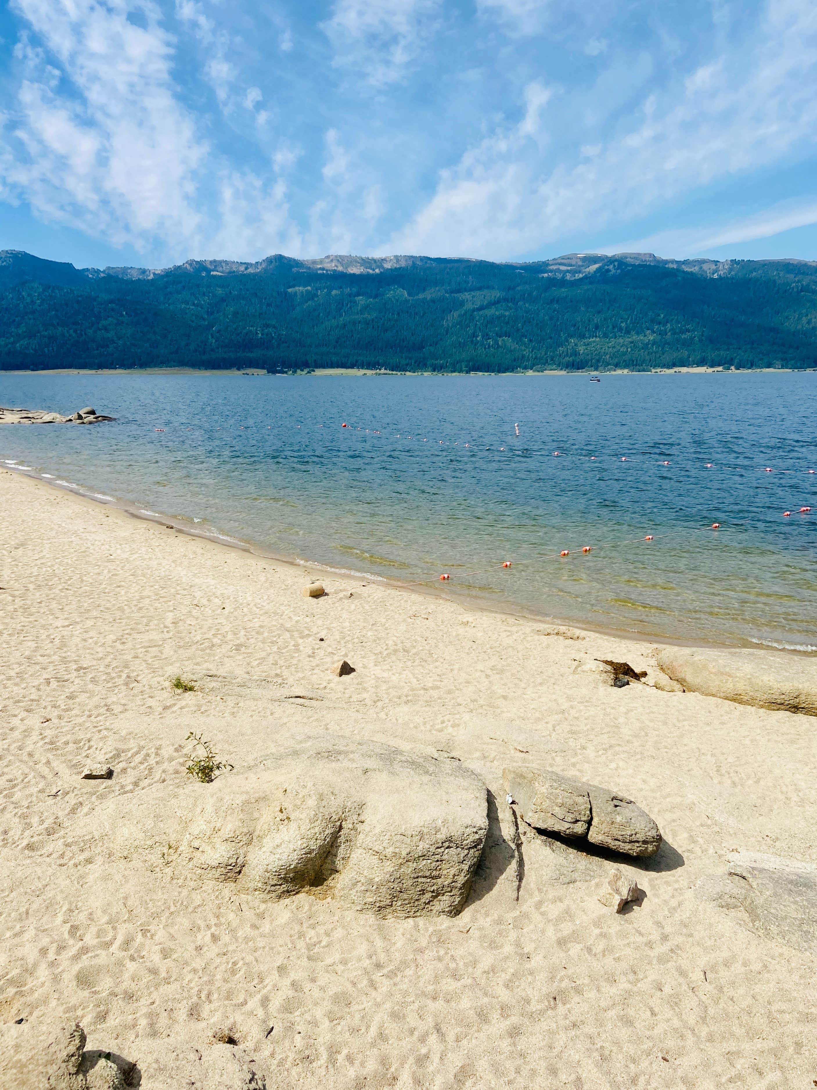 Lake Cascade/Van Wyck Campground | Cascade, ID