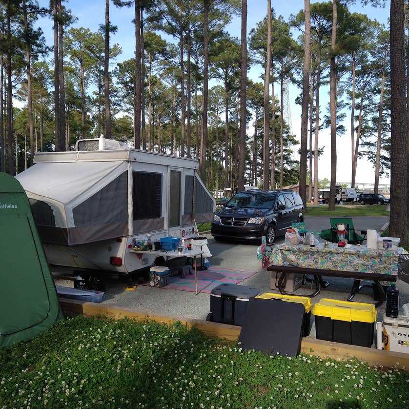 Pickwick Dam Tailwater TVA Campground Camping | The Dyrt