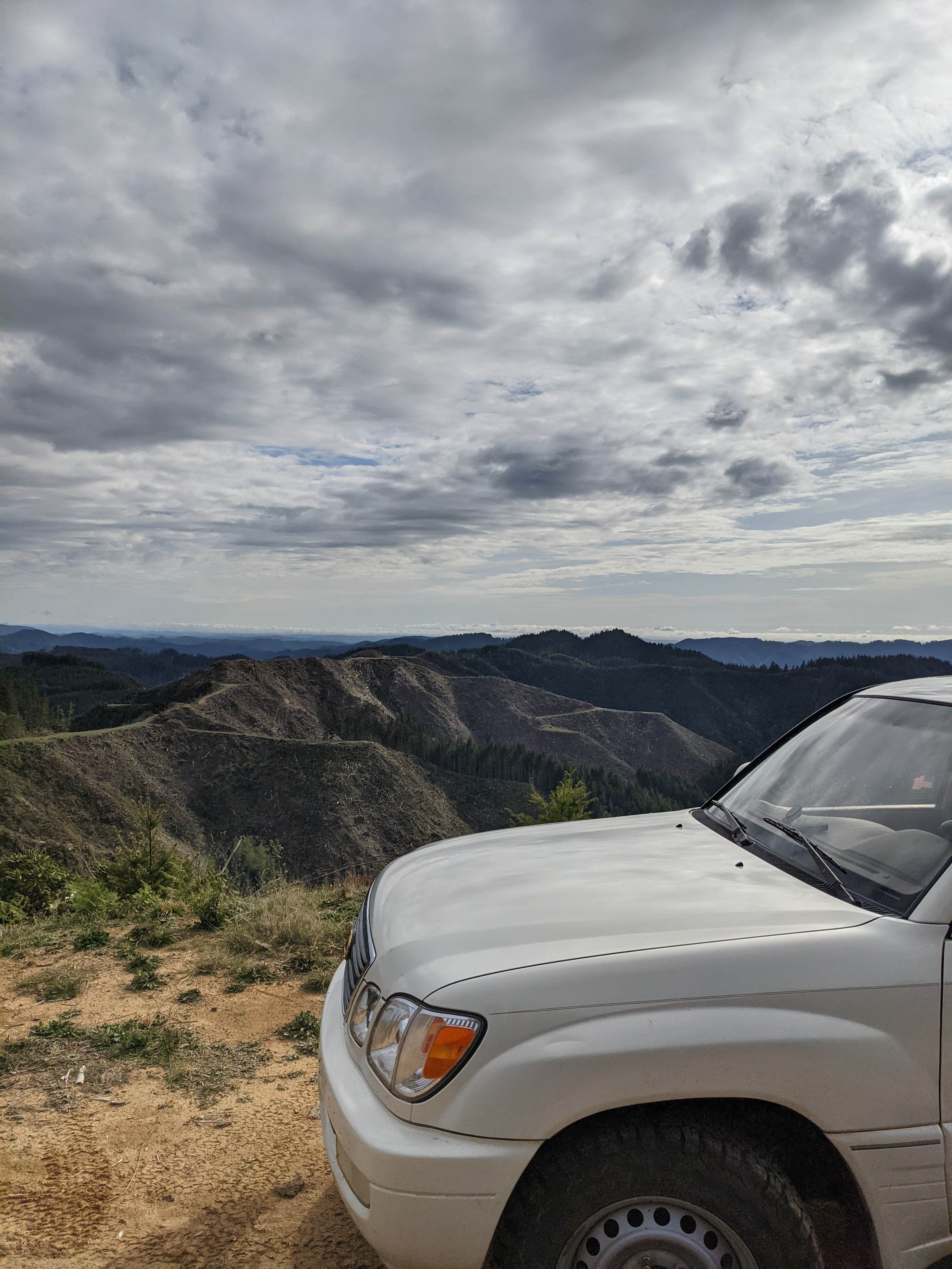 Elliott State Forest Dispersed | The Dyrt