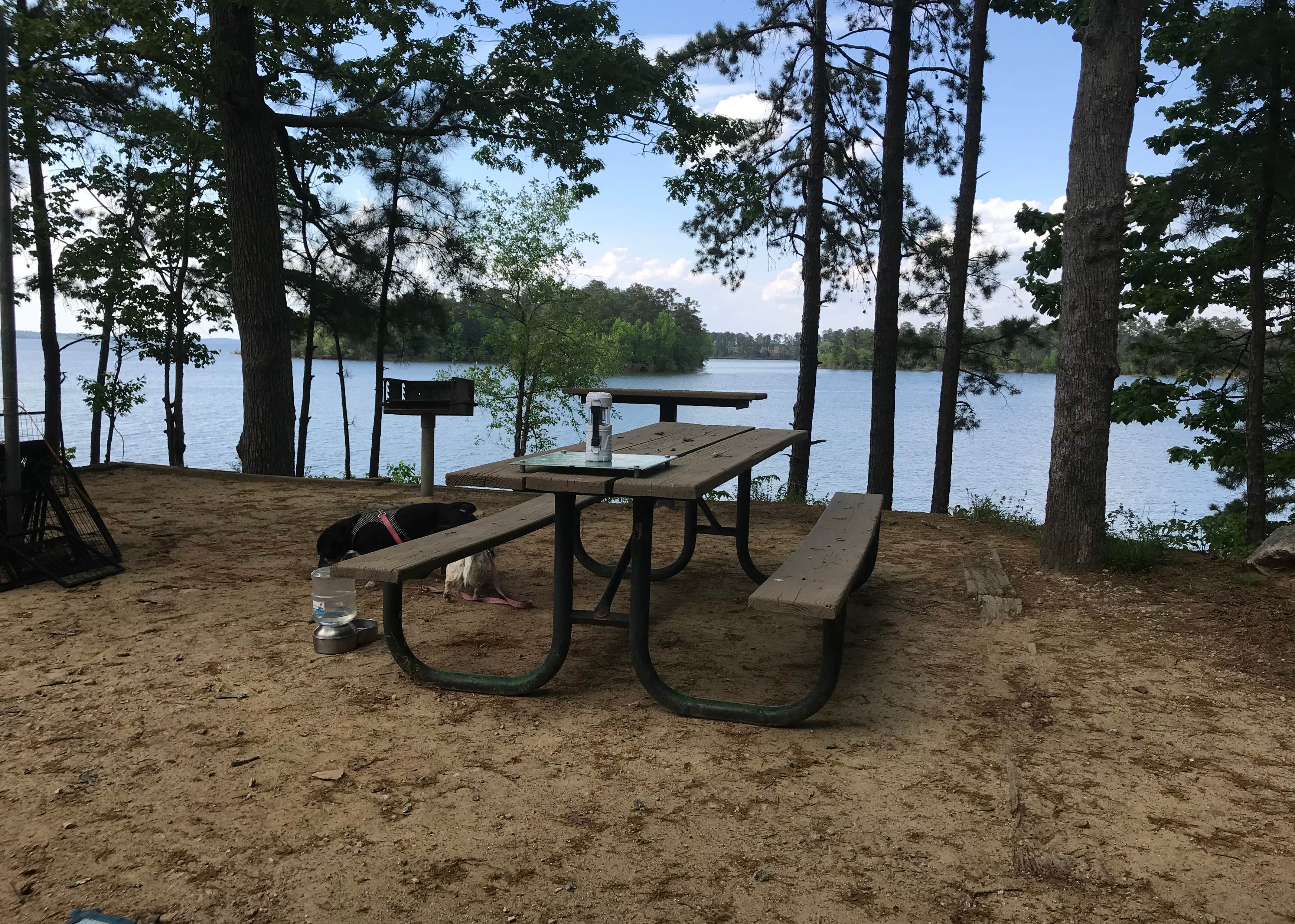 Modoc - J Strom Thurmond Lake Camping | The Dyrt