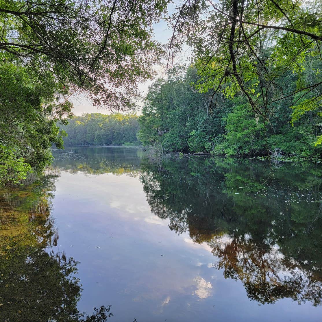 Potts Preserve Camping | Hernando, Florida