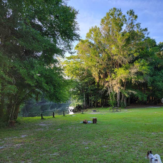 Potts Preserve Camping | Hernando, Florida