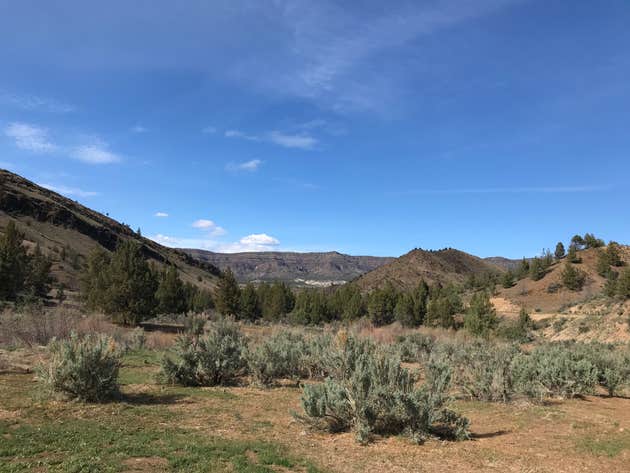 Burnt Ranch Road/Bridge Creek (Painted Hills) | The Dyrt