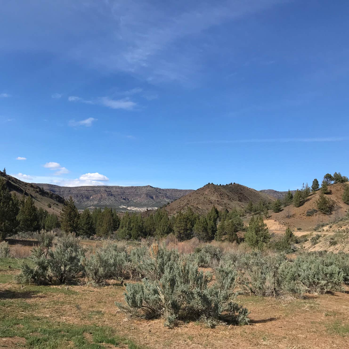 Burnt Ranch Road/Bridge Creek (Painted Hills) Camping | Mitchell, Oregon