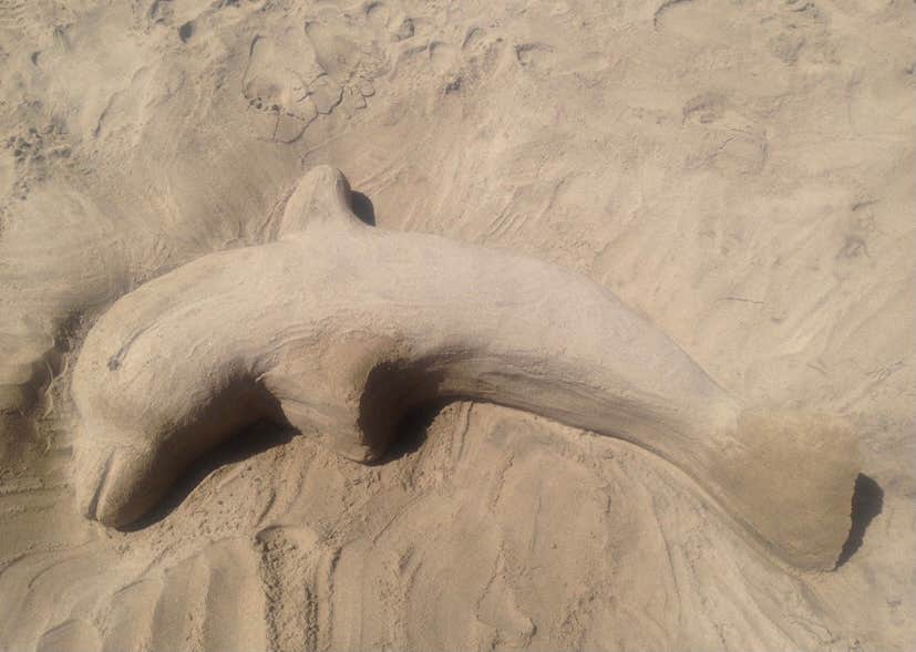 Pacific Dunes Ranch RV Resort | The Dyrt