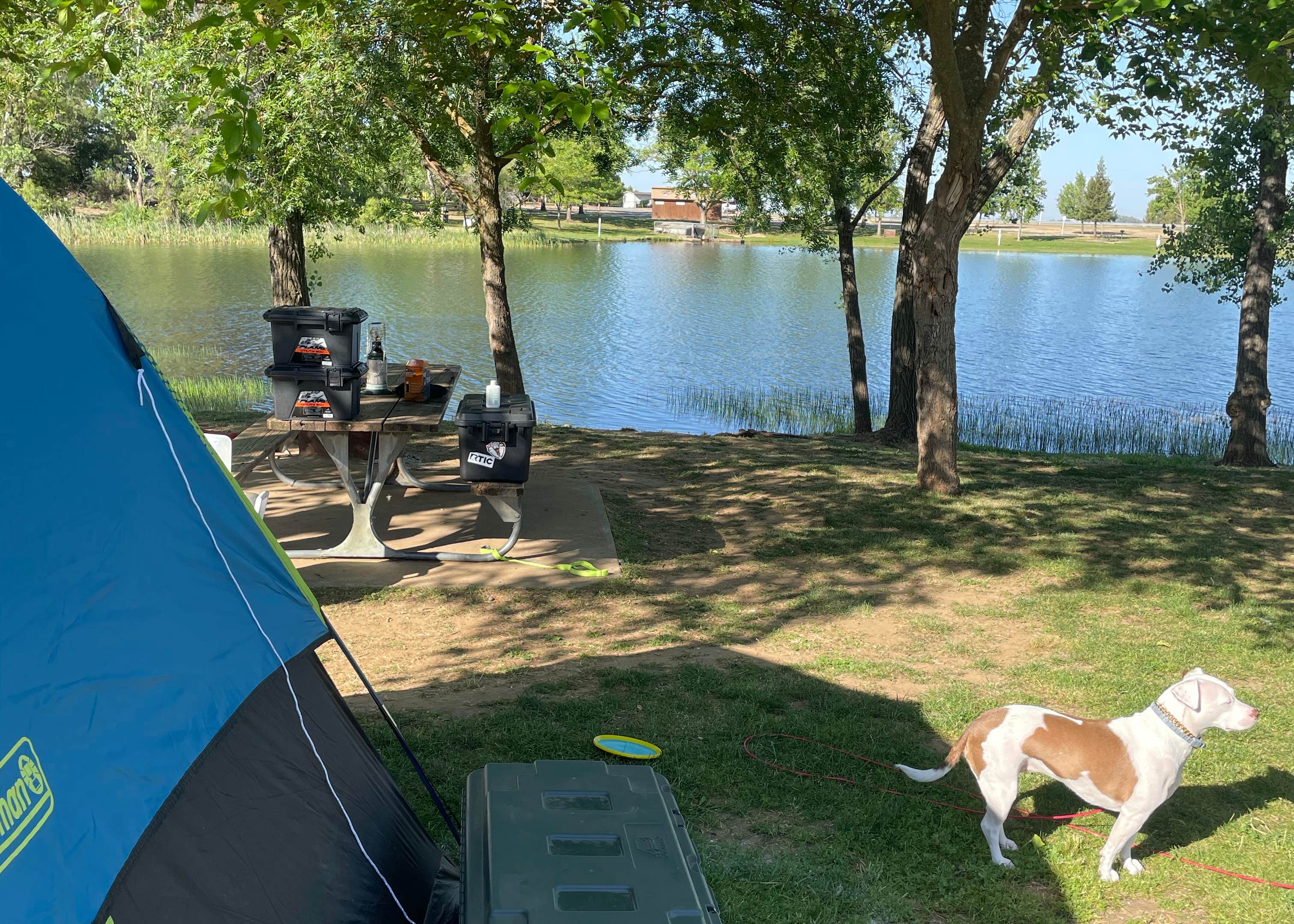 Rancho Seco Recreation Area Camping | The Dyrt