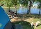 Rancho Seco Recreation Area Camping | The Dyrt