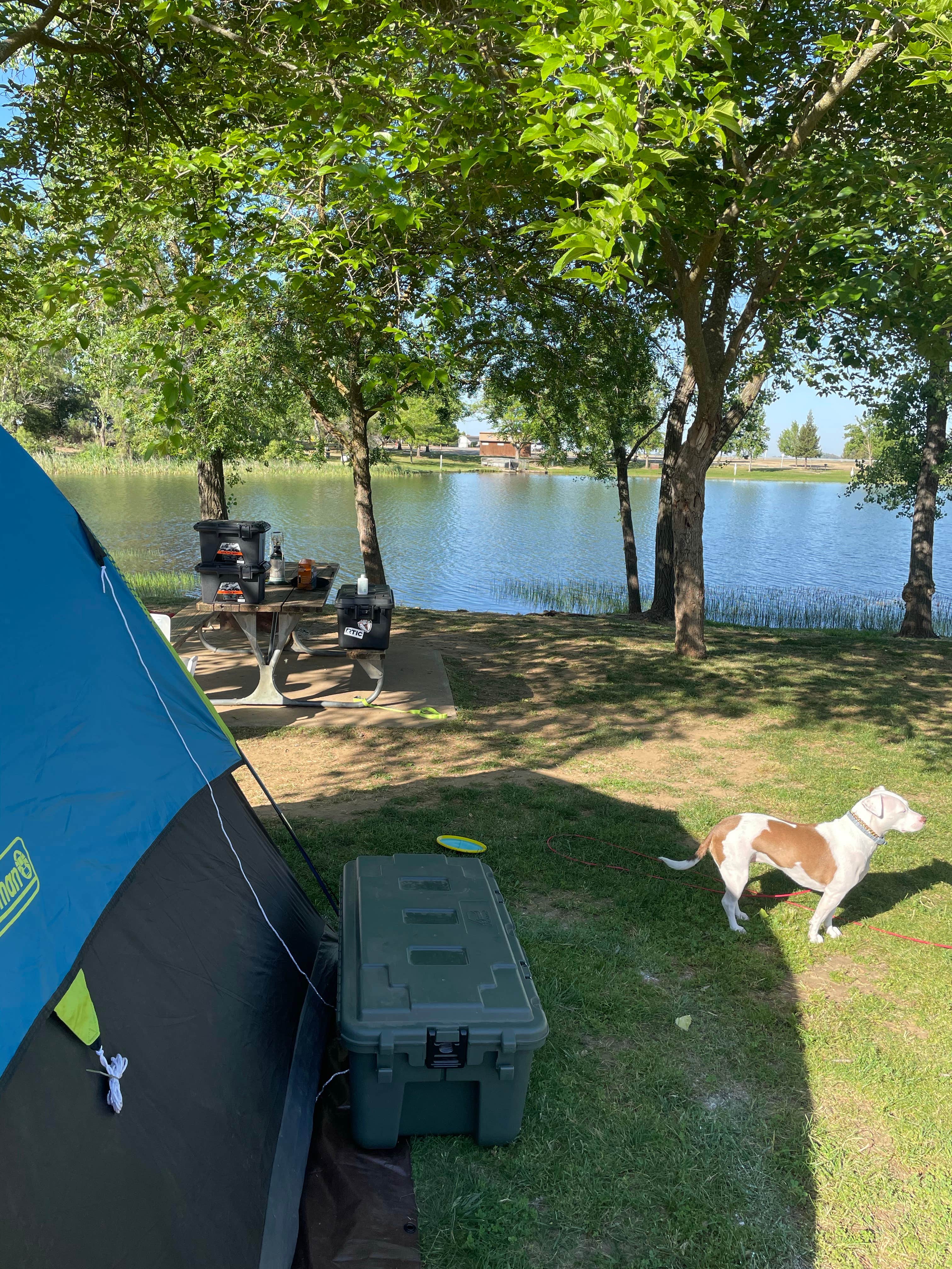 Rancho Seco Recreation Area Camping | Herald, California