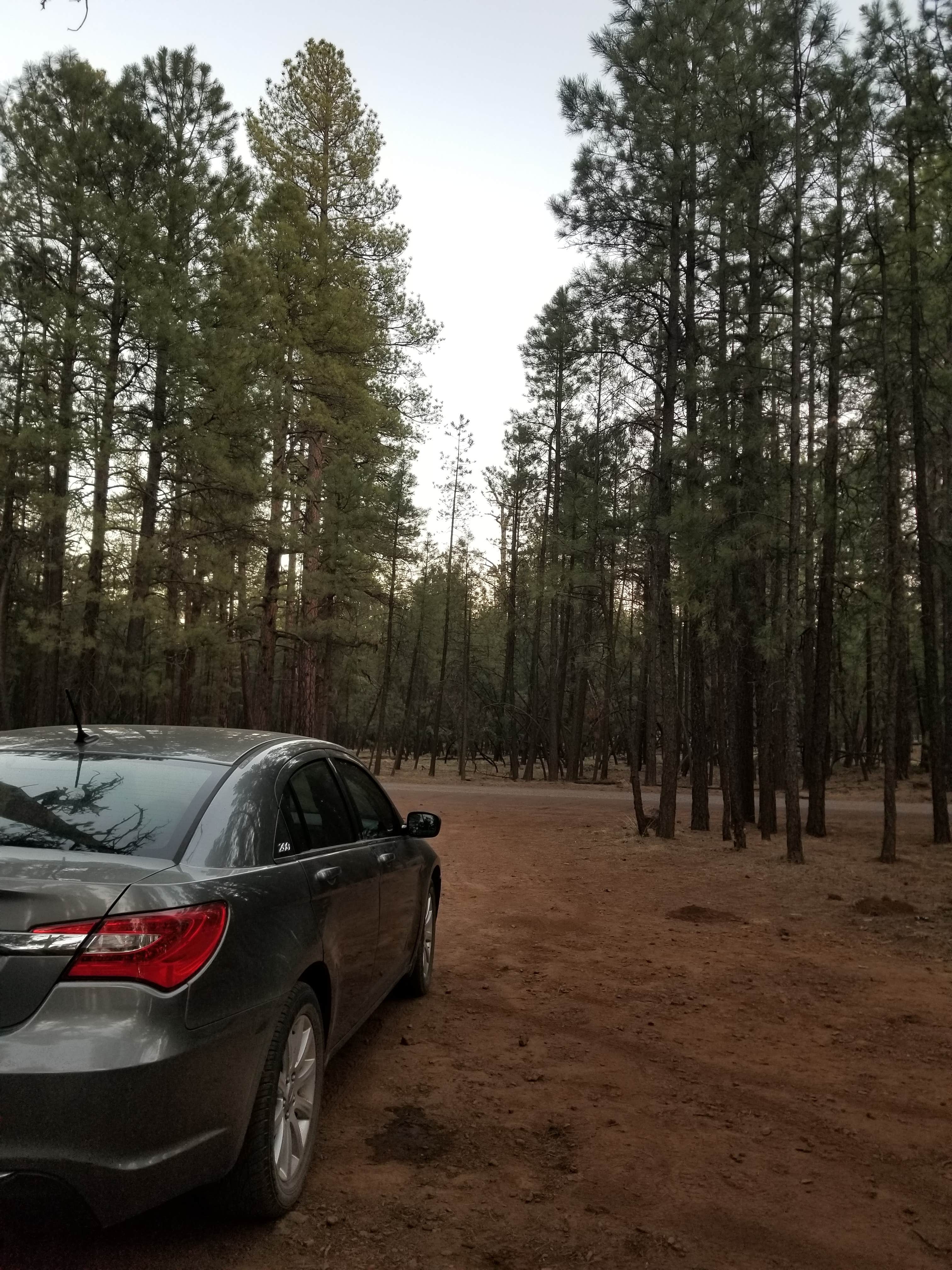 Freidlein Prairie Dispersed Camping | The Dyrt