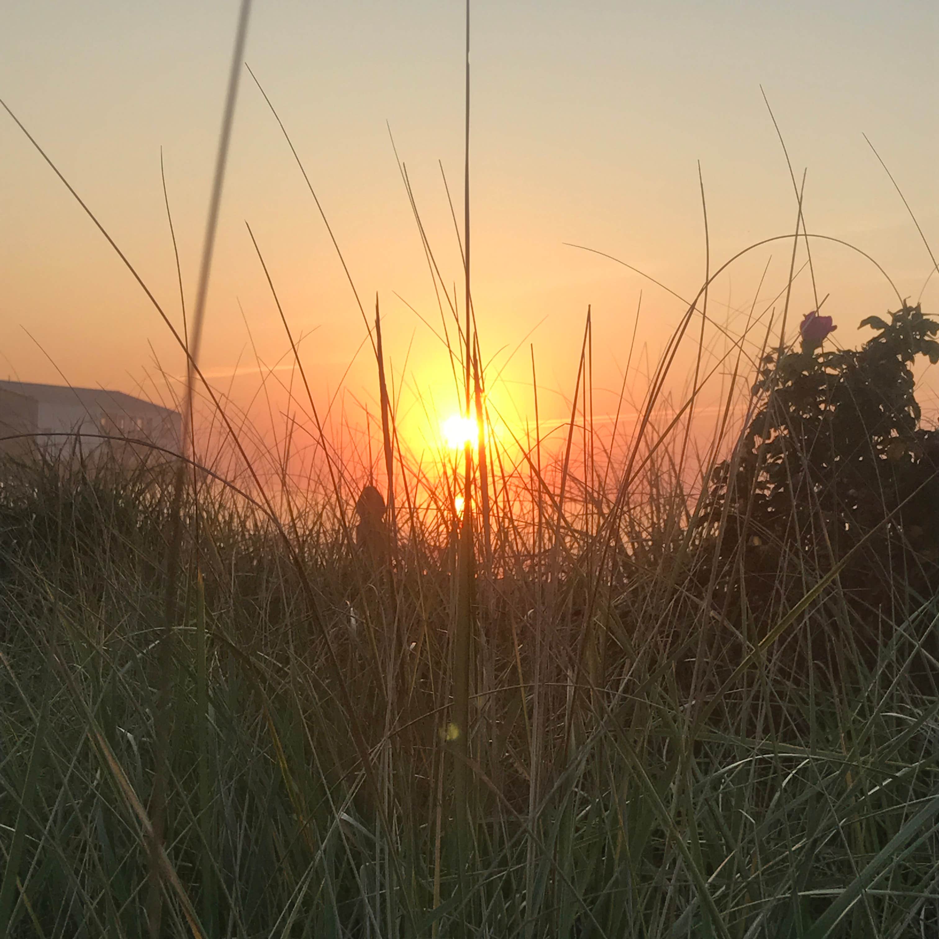 Sun Outdoors Cape Charles Camping | The Dyrt