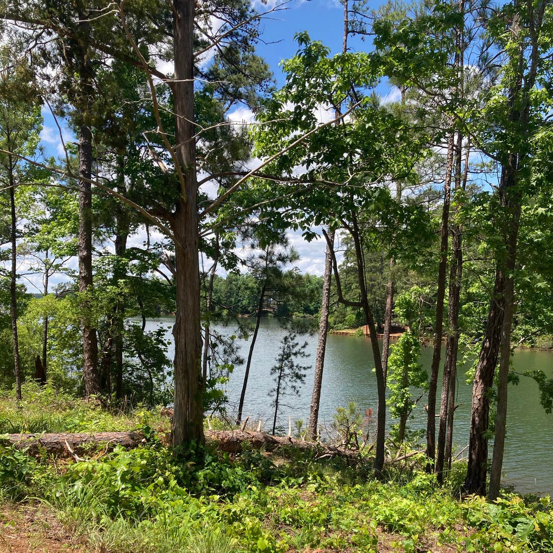 Modoc - J Strom Thurmond Lake Camping | The Dyrt