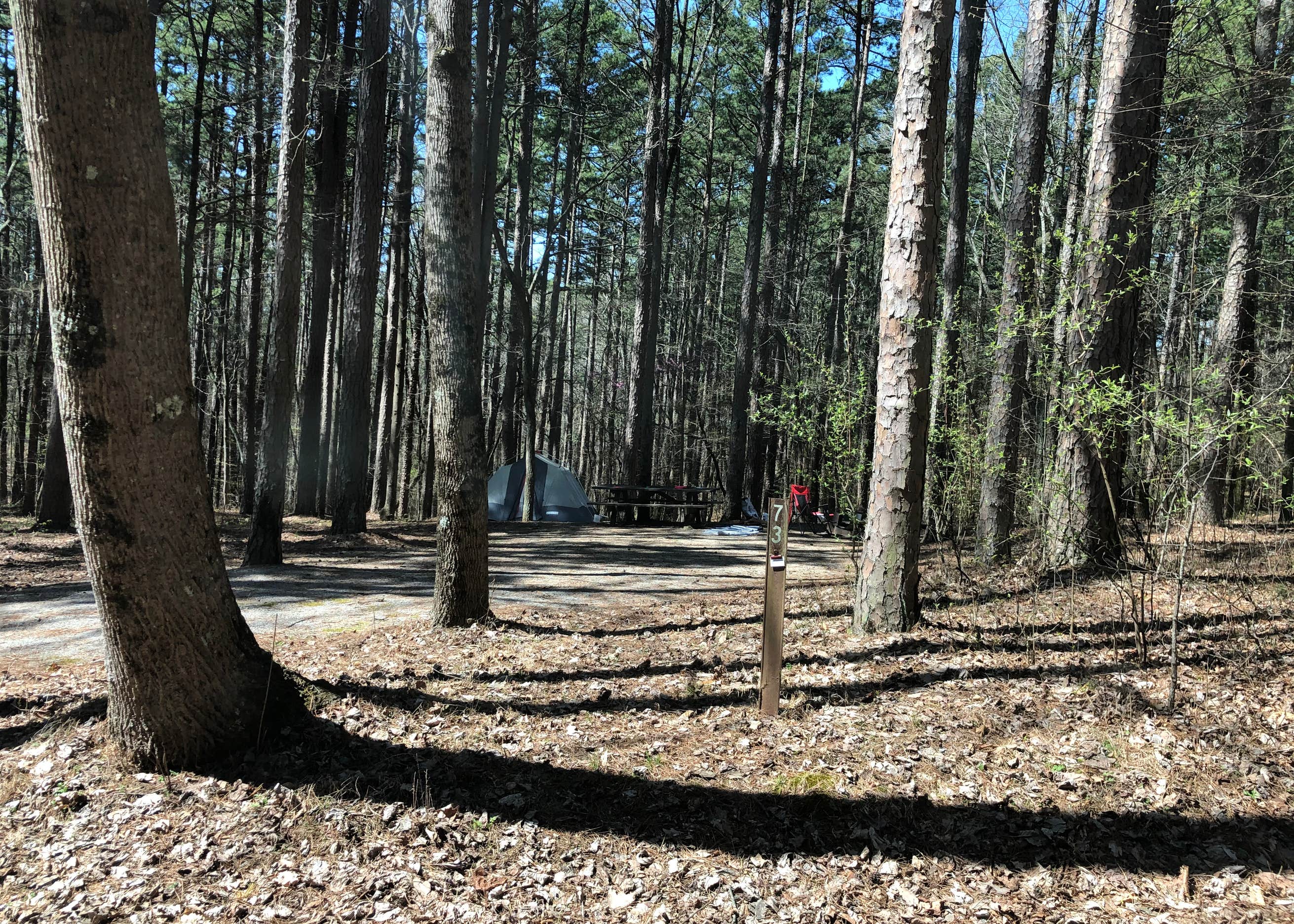 Pine Ridge Camping | The Dyrt