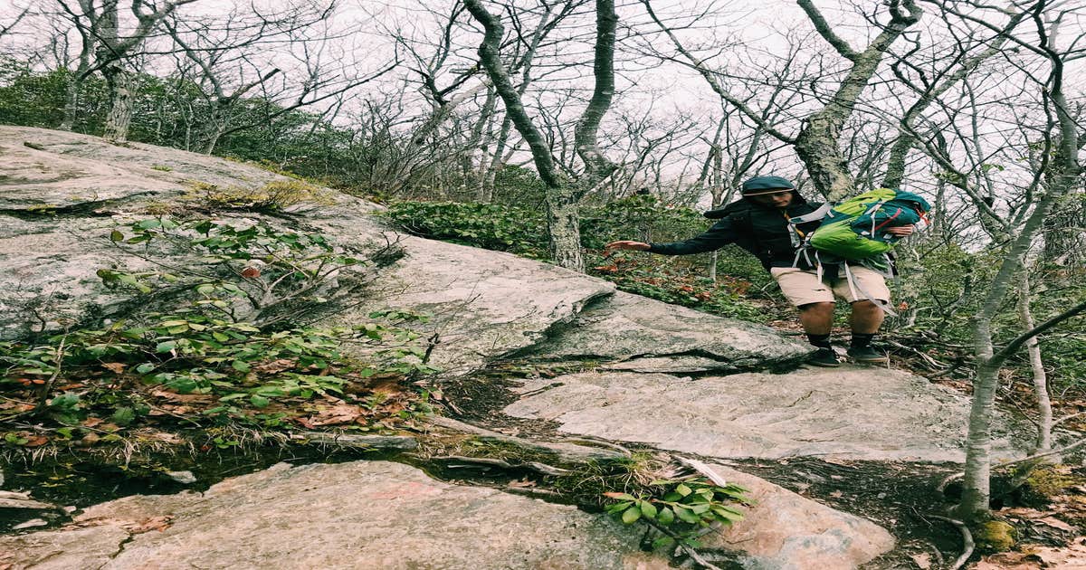 Laurel Ridge Camping | The Dyrt