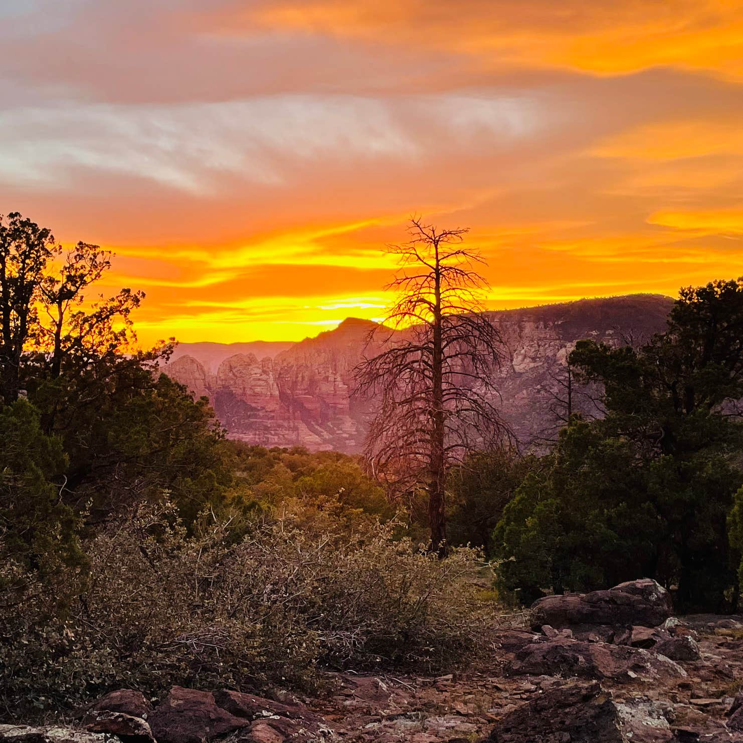 Schnebly Hill Rd, Fox Borough Dam Camping | The Dyrt