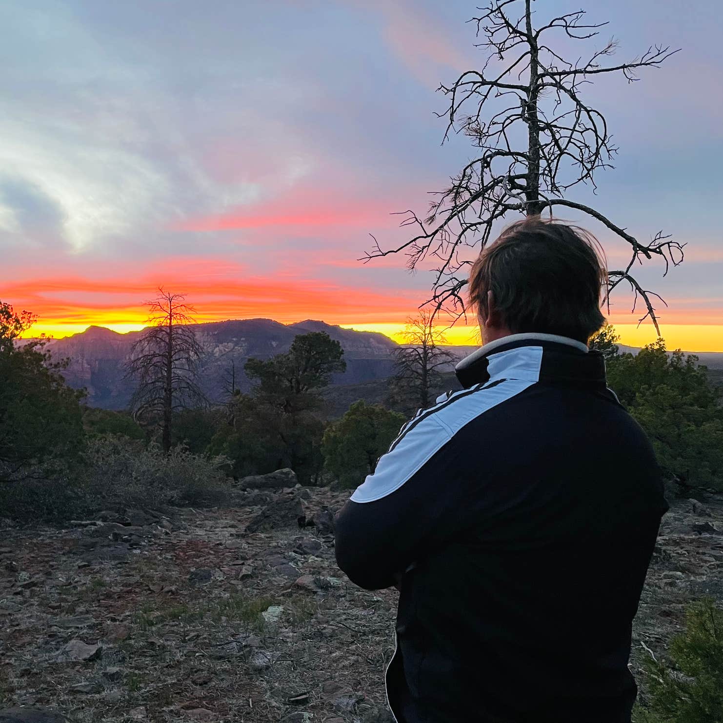 Schnebly Hill Rd, Fox Borough Dam Camping | The Dyrt