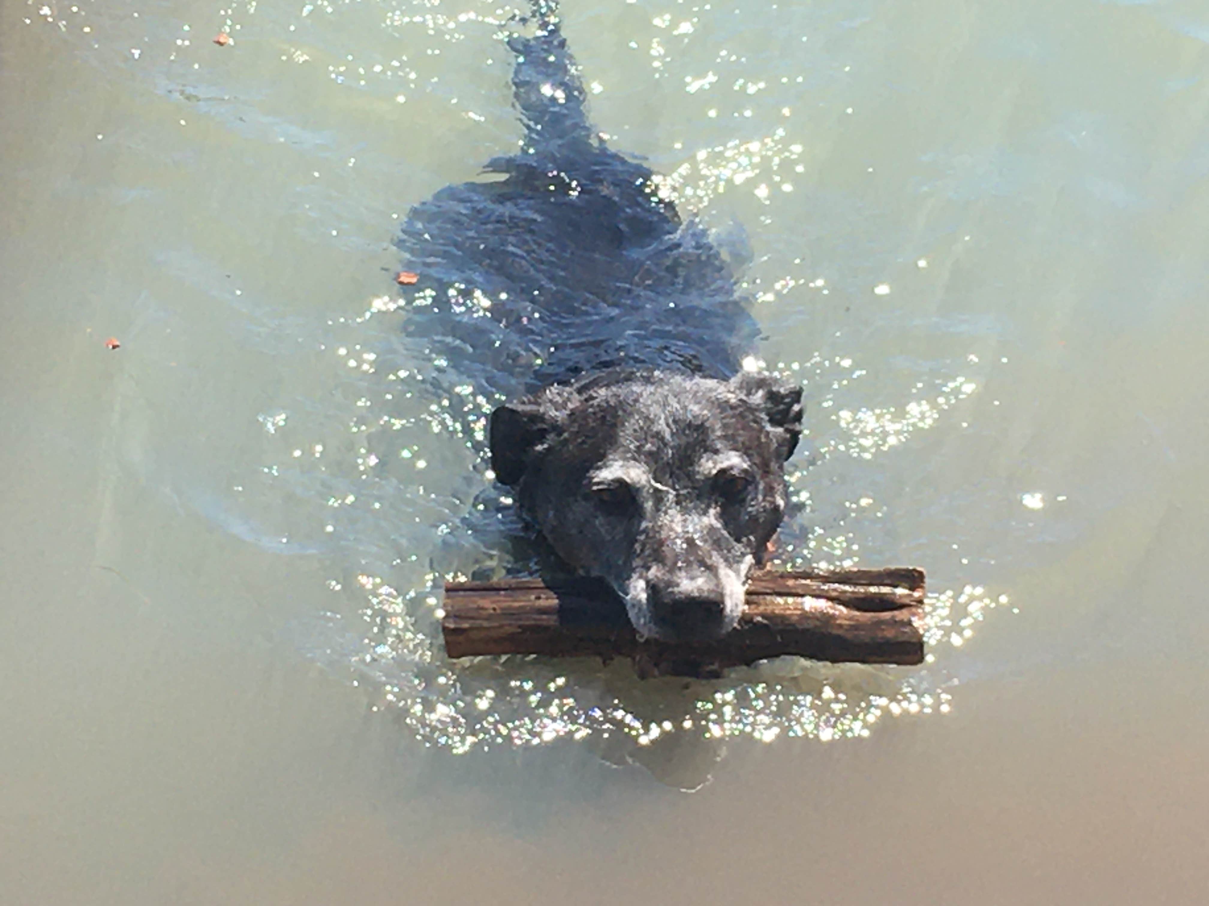 BLM Gerber Reservoir Campground | Bonanza, OR