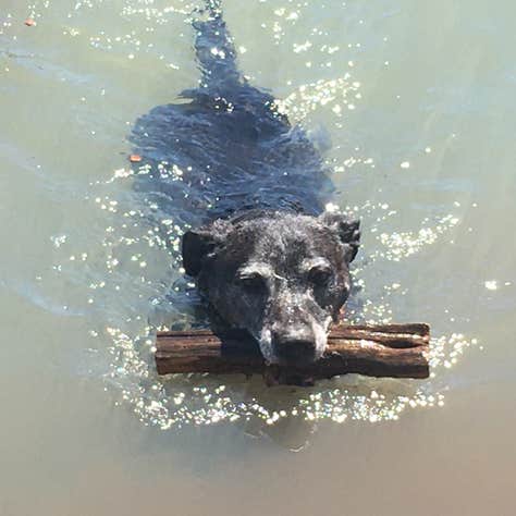 BLM Gerber Reservoir Campground | Beatty, Oregon