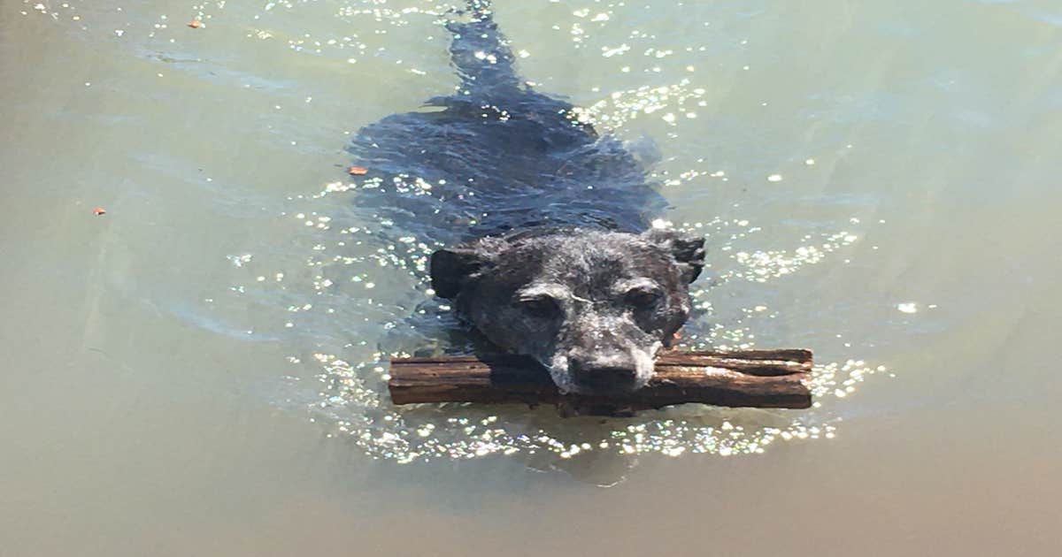BLM Gerber Reservoir Campground | Beatty, Oregon