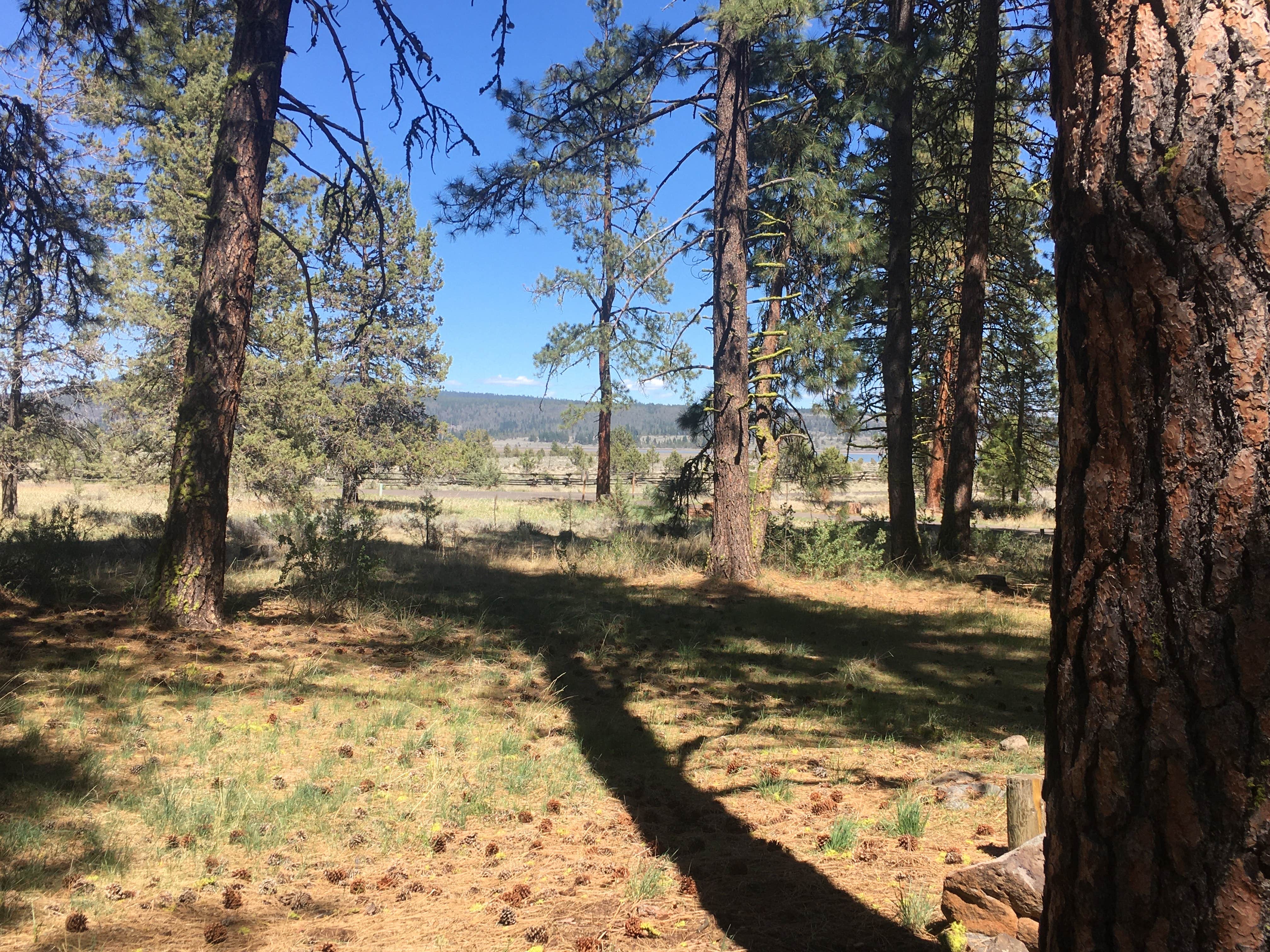 BLM Gerber Reservoir Campground | Beatty, Oregon