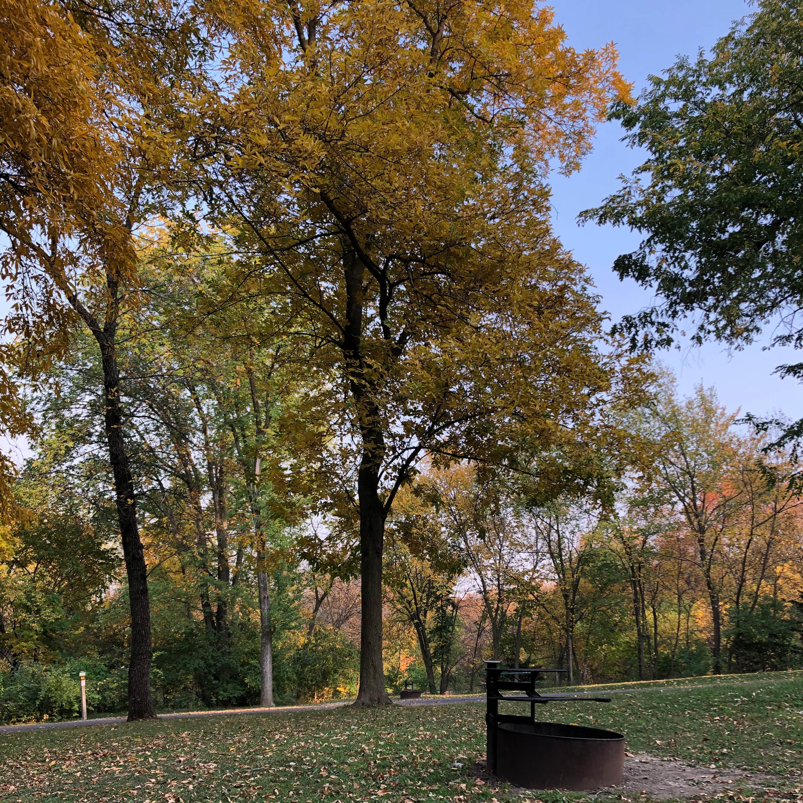 Prairie Rose State Park Campground | Harlan, Iowa