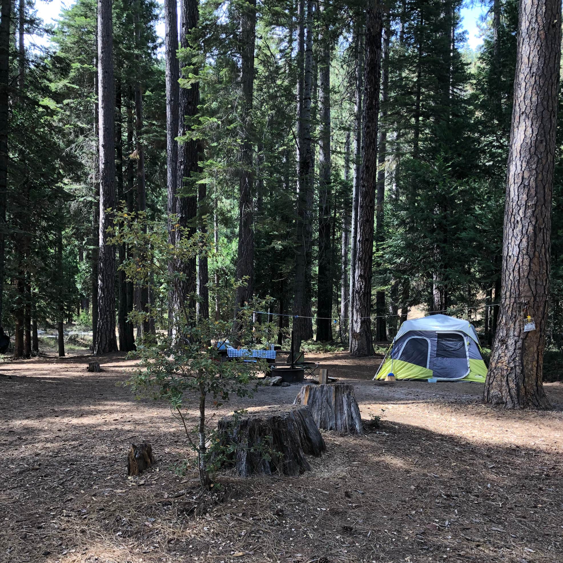 Wakalu Hep Yo (wild River) Campground Camping | The Dyrt