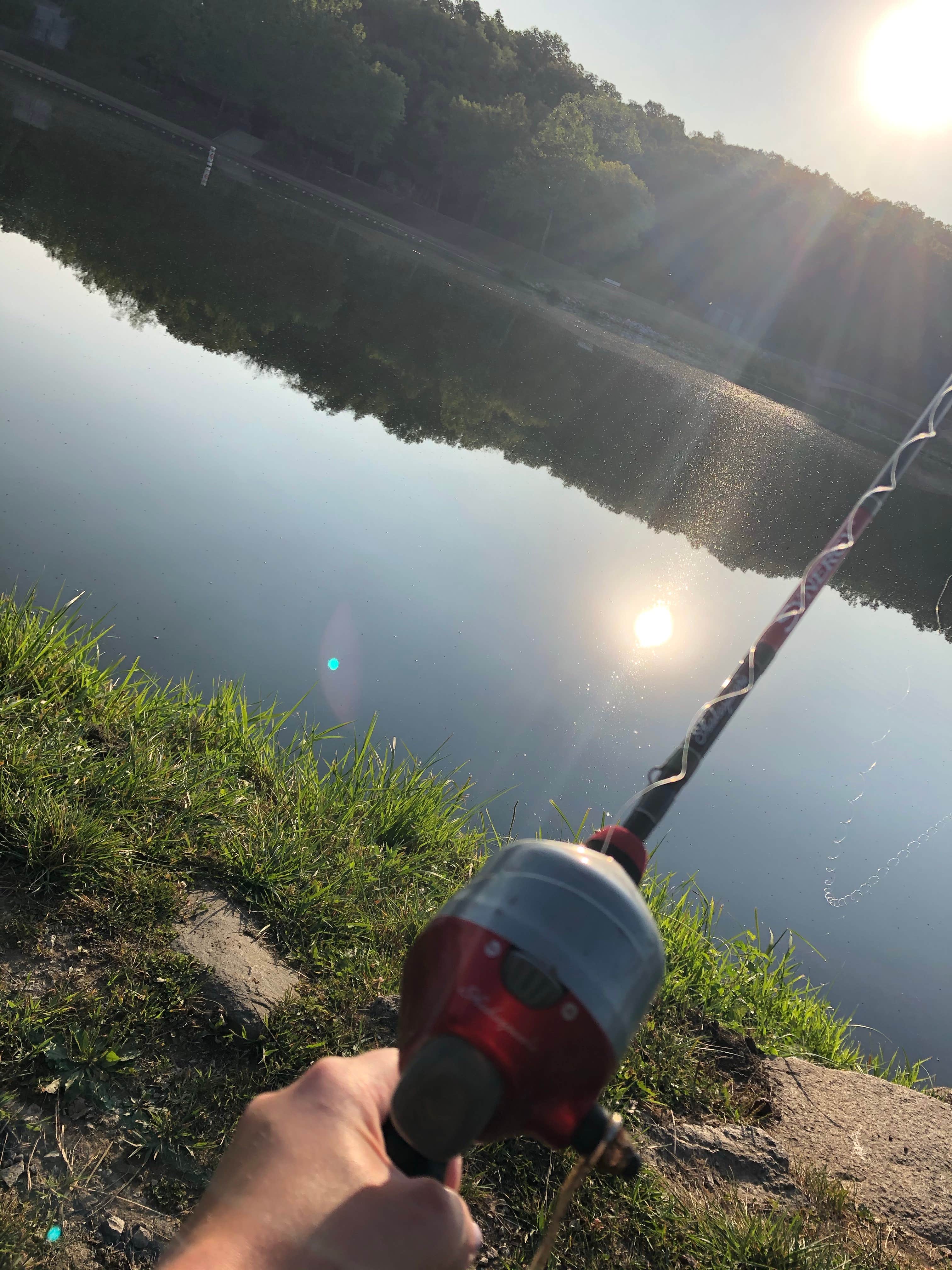 Springbrook State Park Campground | Guthrie Center, Iowa