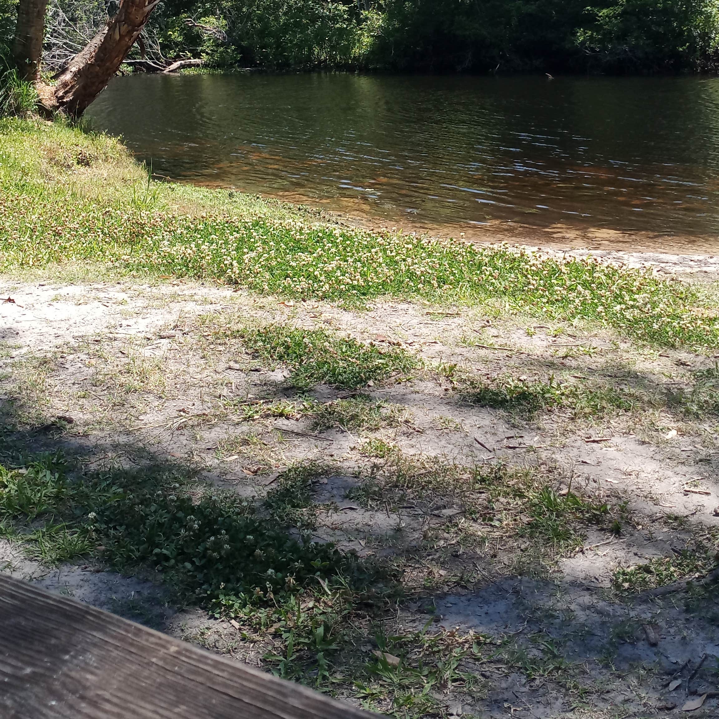 Potts Preserve - River Primitive Campground (North Hooty Point Road ...
