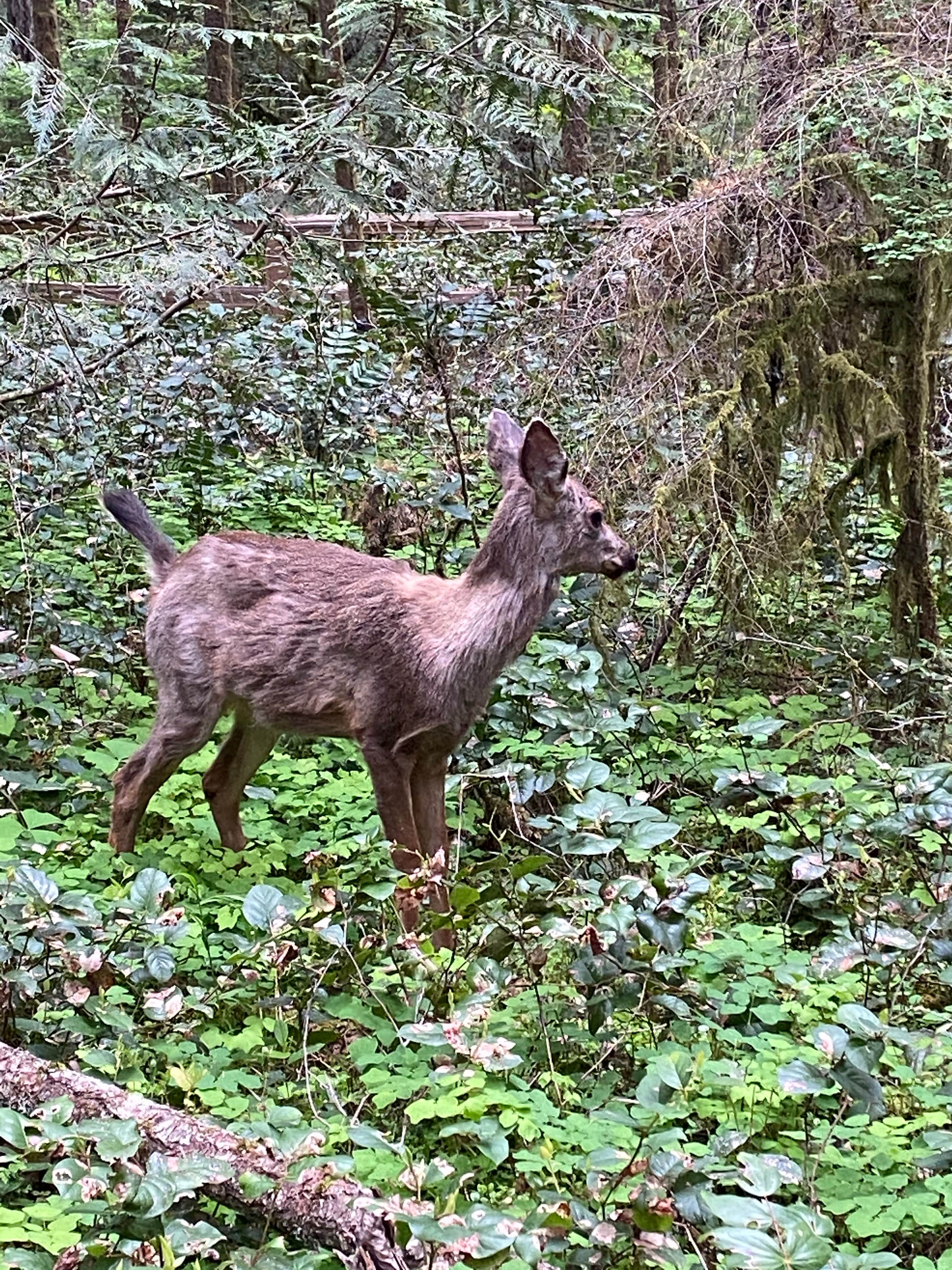 Oxbow Regional Park | The Dyrt
