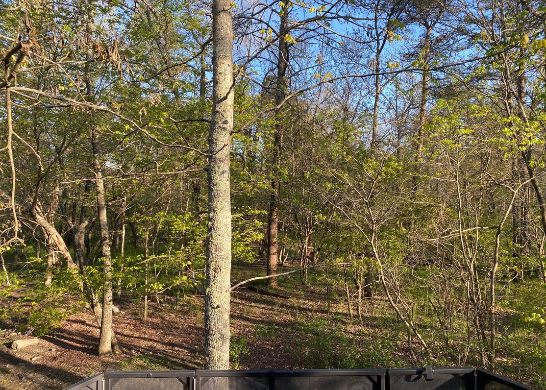 Cherokee Campground Camping | The Dyrt