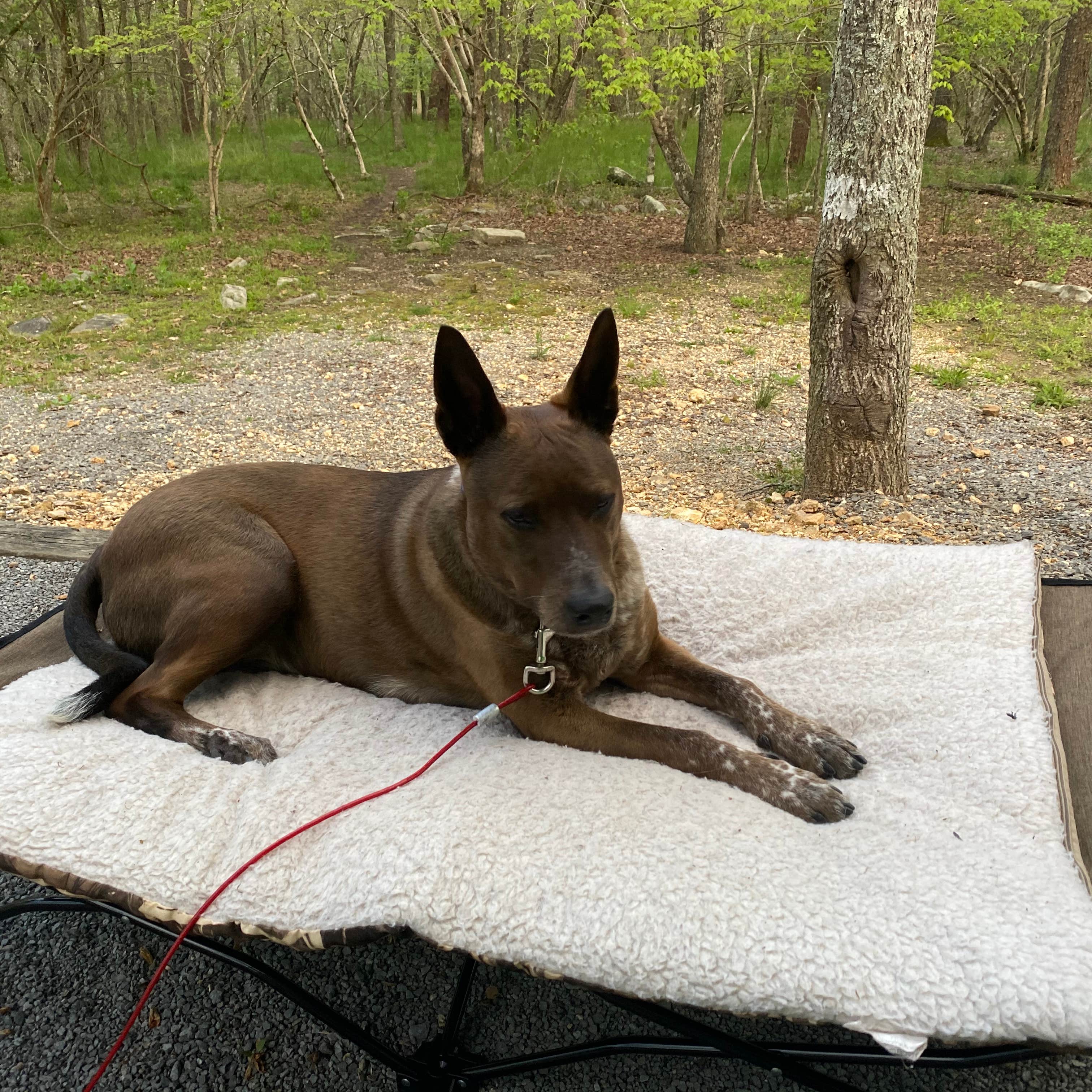 Cherokee Campground Camping | The Dyrt