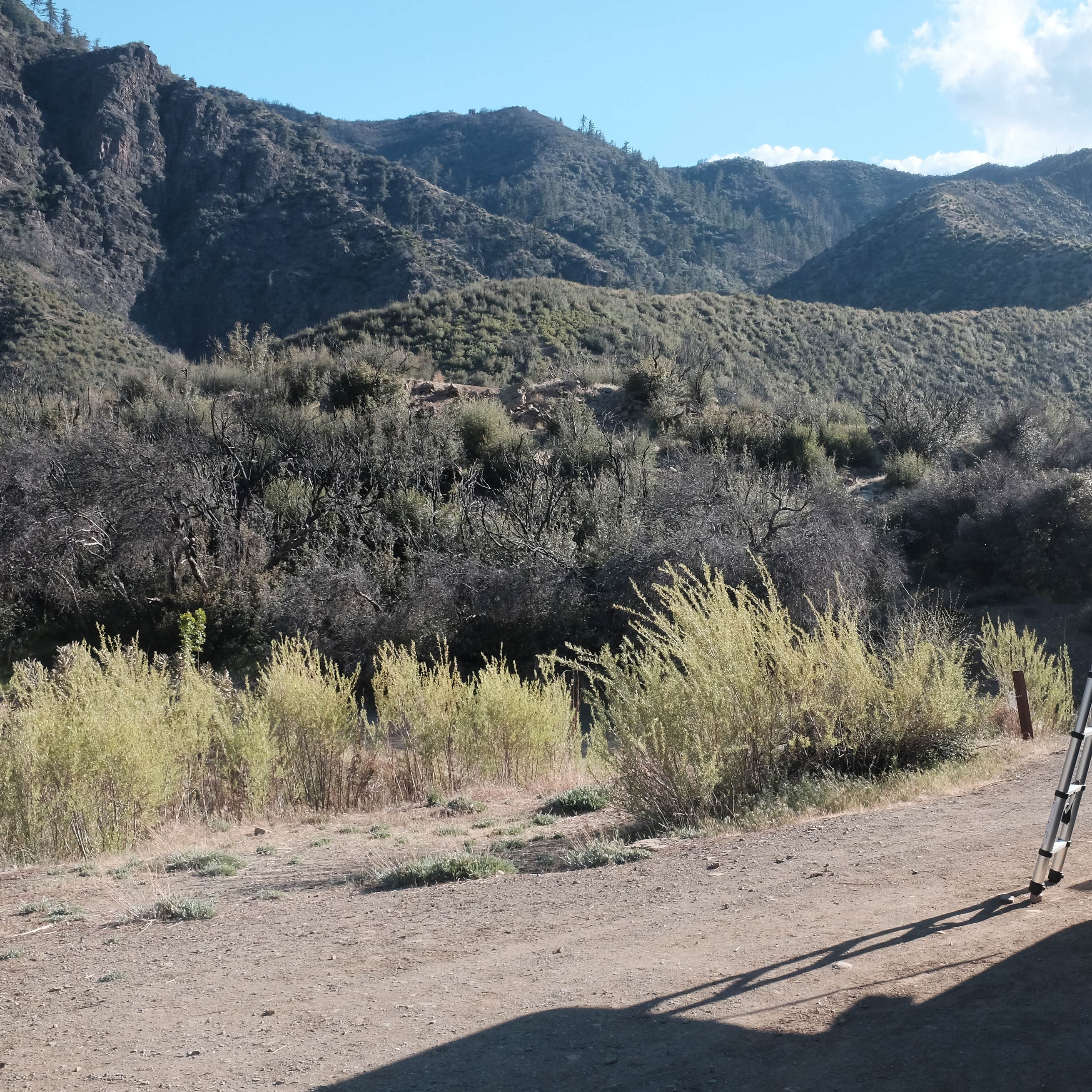 Rose Valley Campground | Ojai, CA