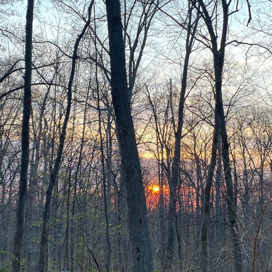 Cunningham Falls State Park Manor Area Camping | The Dyrt