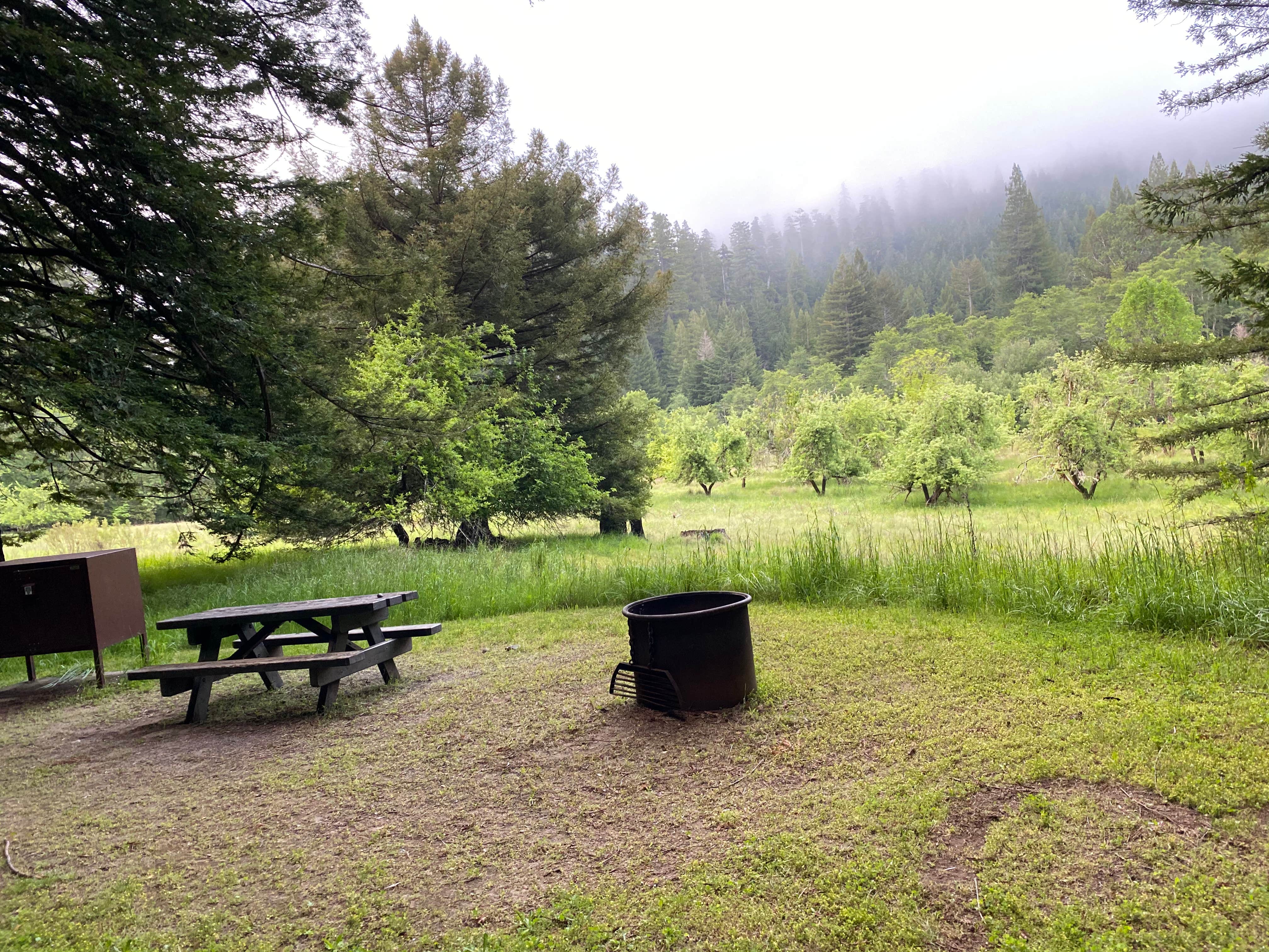 Albee Creek Camp | The Dyrt