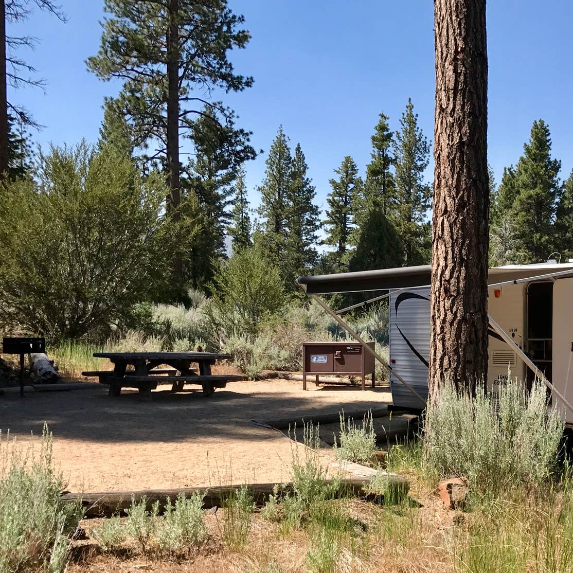 Indian Creek Campground (CA) - TEMPORARILY CLOSED | Markleeville ...