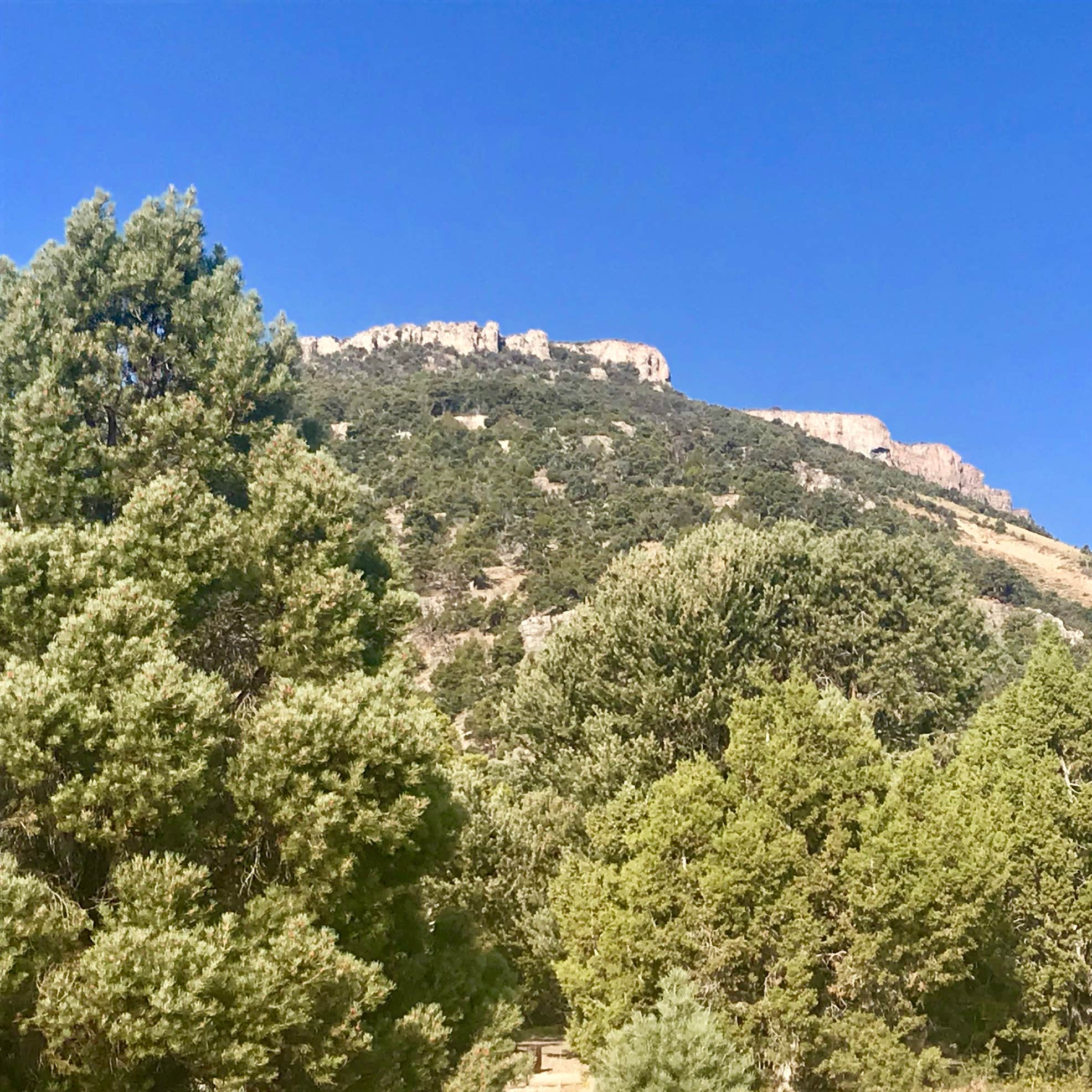 South Ruby Campground | Ruby Valley, Nevada