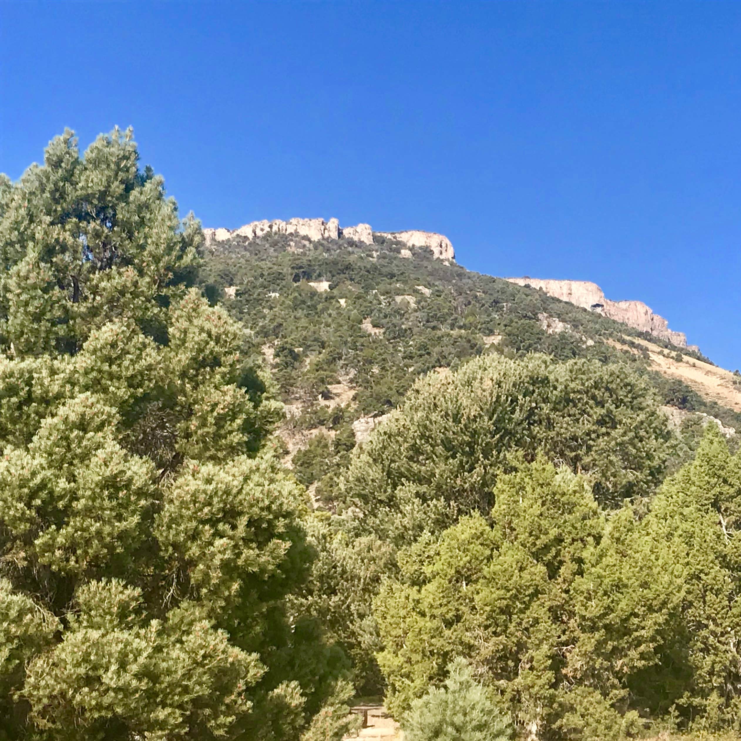 South Ruby Campground | Ruby Valley, Nevada