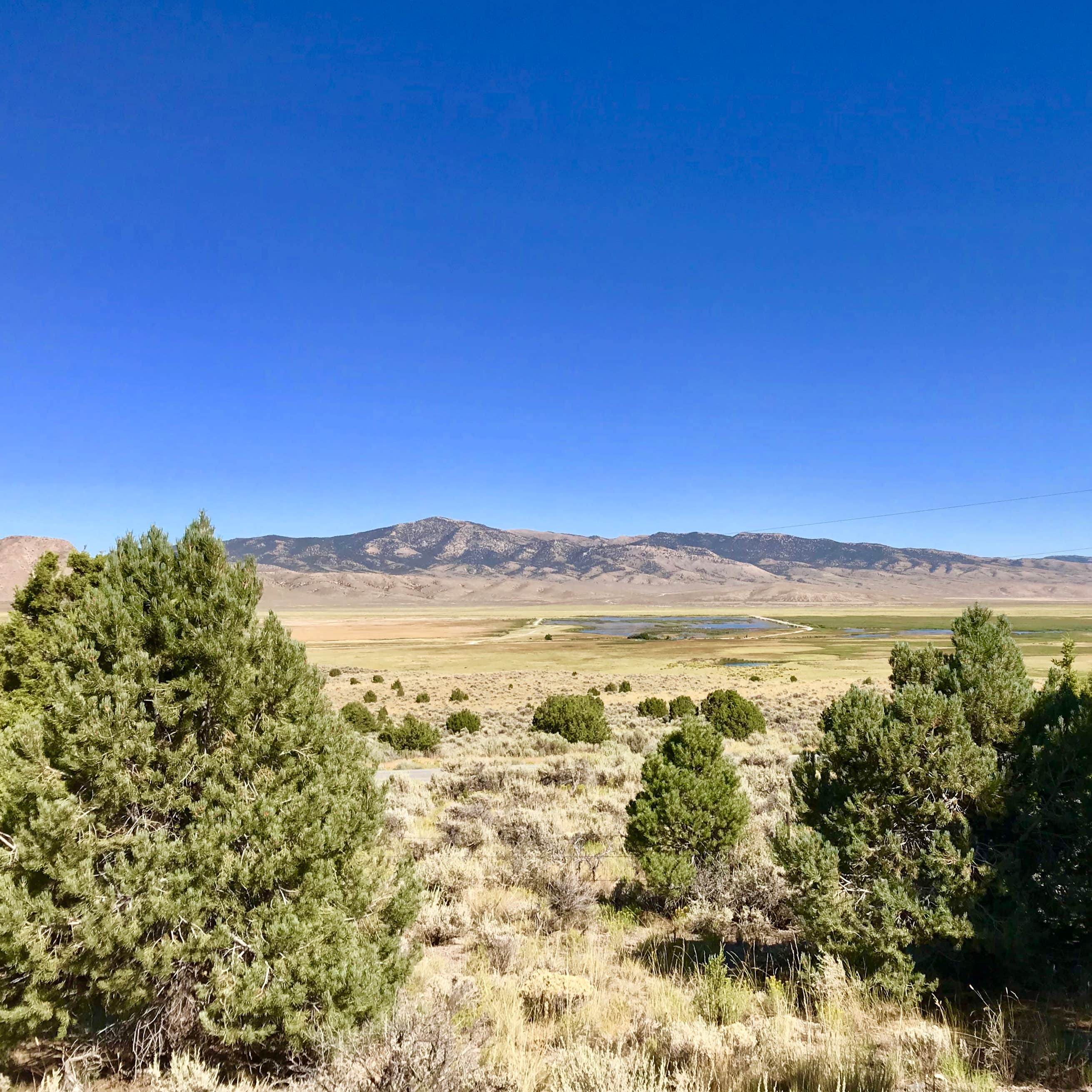 South Ruby Campground | Ruby Valley, Nevada