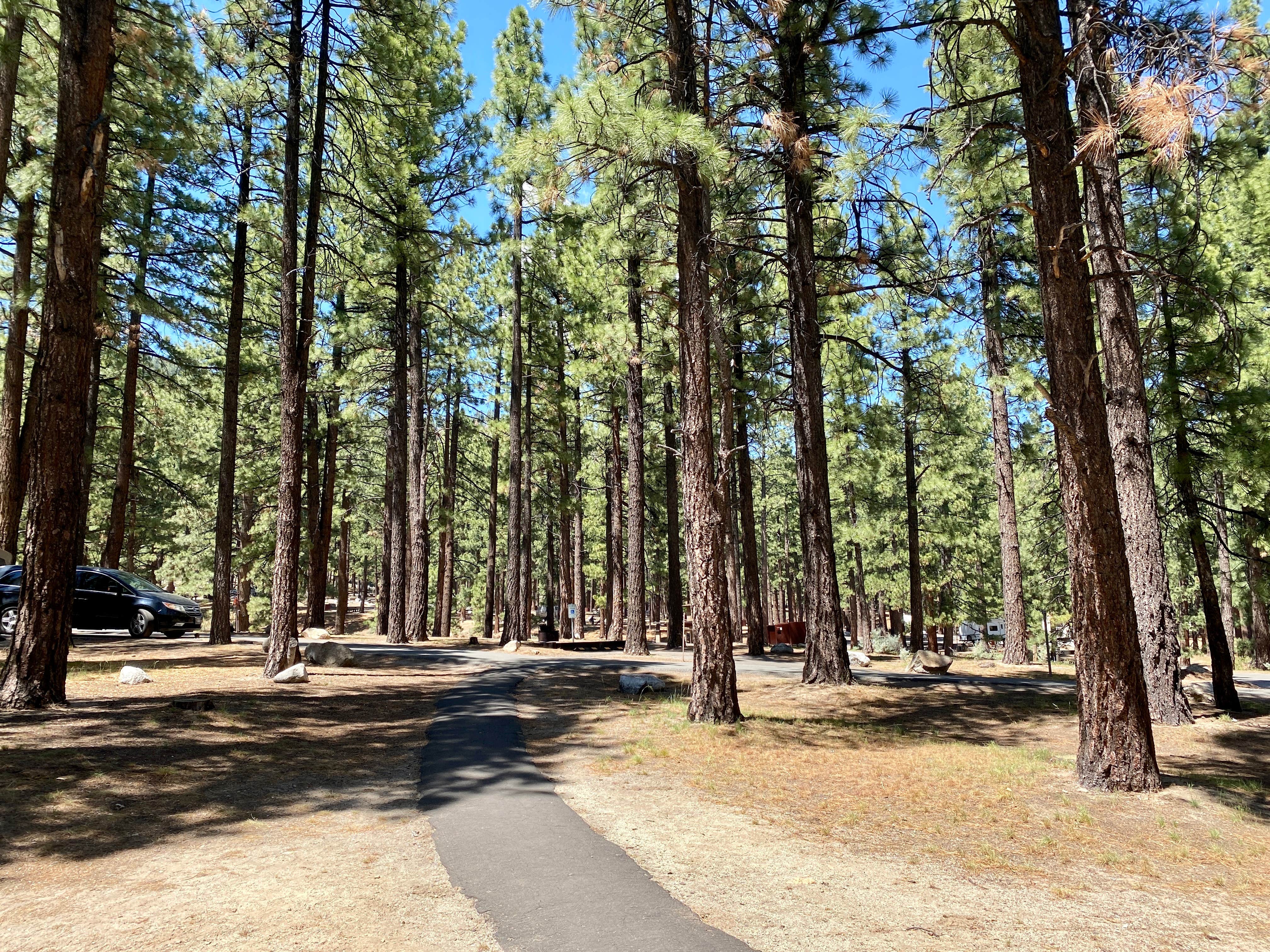 Best Campgrounds near Reno, NV