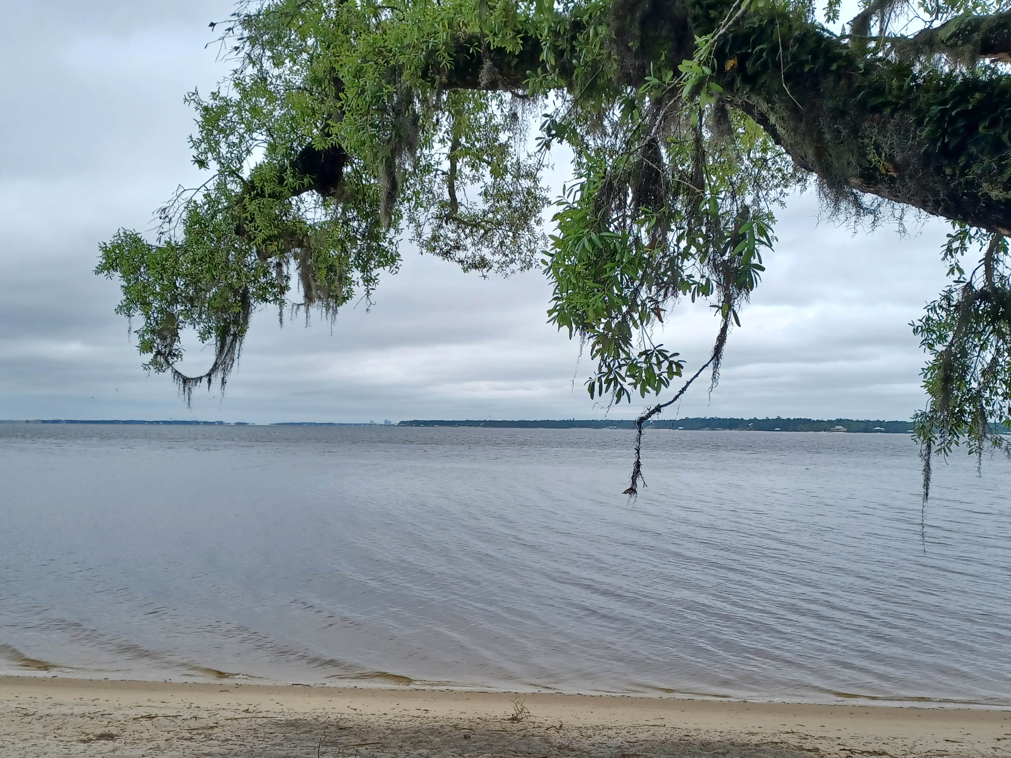 Blue Angel Park Camping | Lillian, Alabama