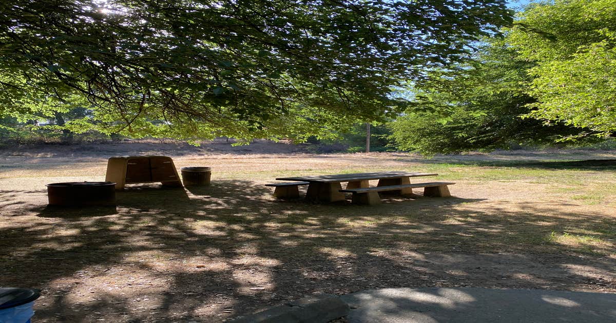 McConnell State Recreation Area Campground | Ballico, CA