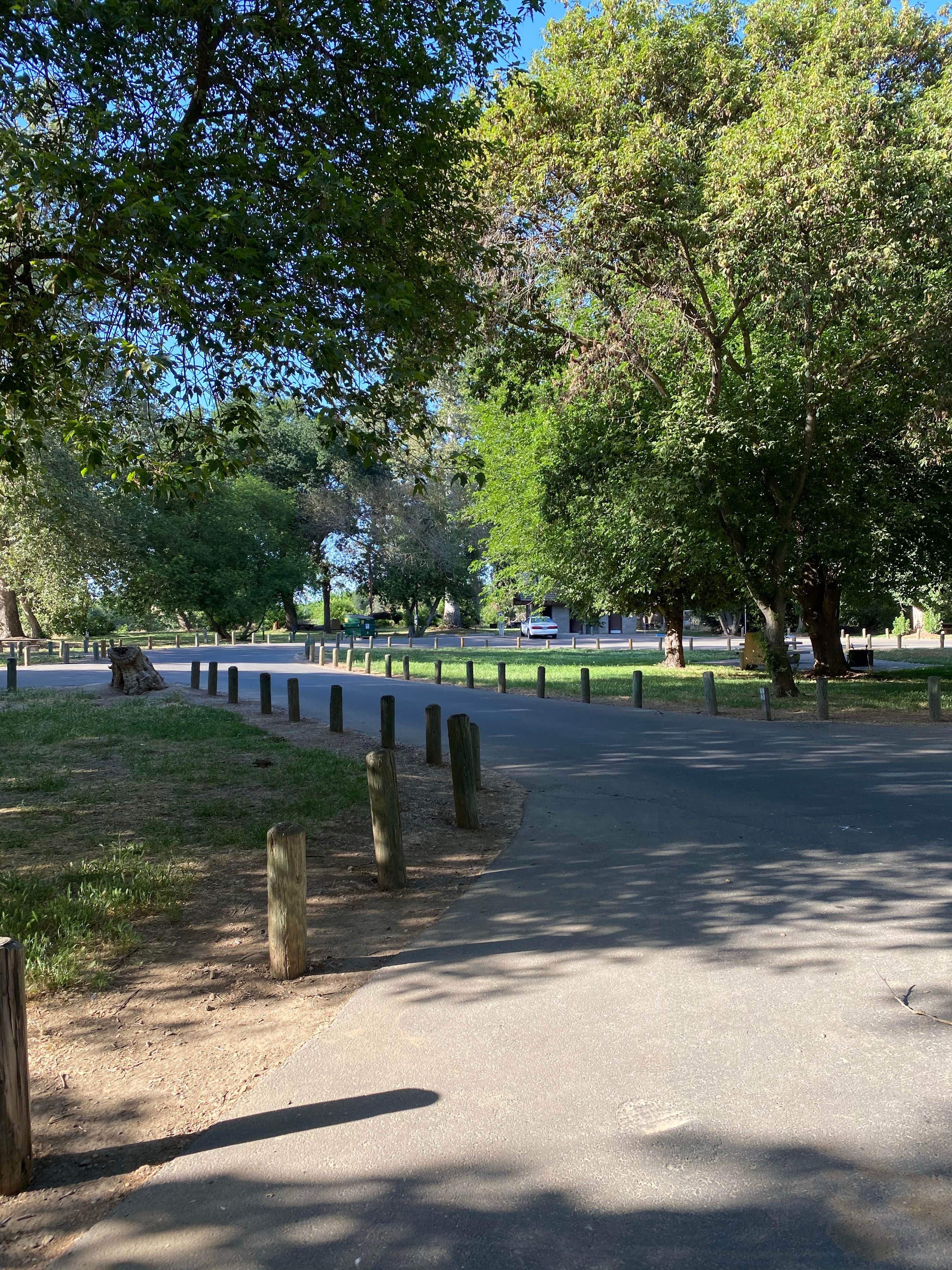 McConnell State Recreation Area Campground | Ballico, CA