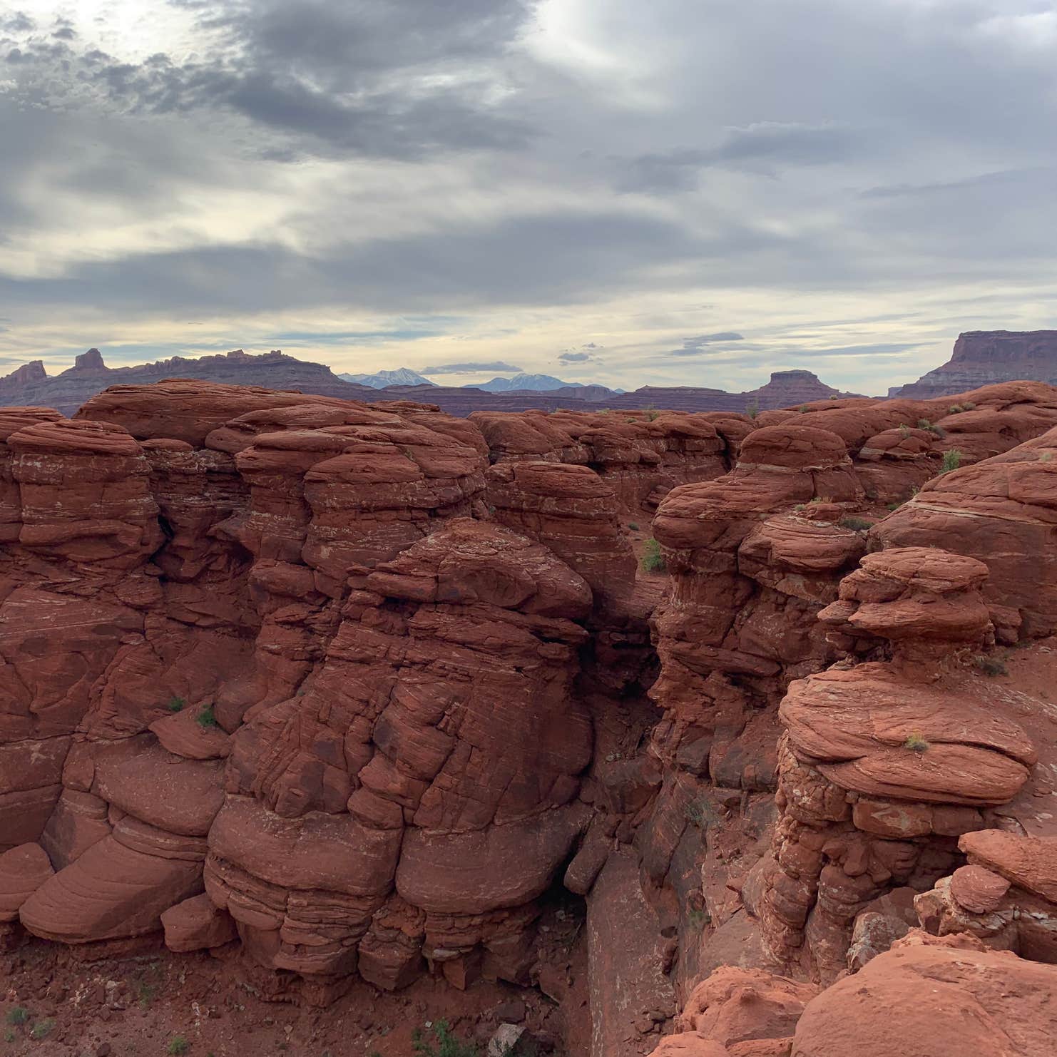 Potash Road (Dispersed) Camping | The Dyrt