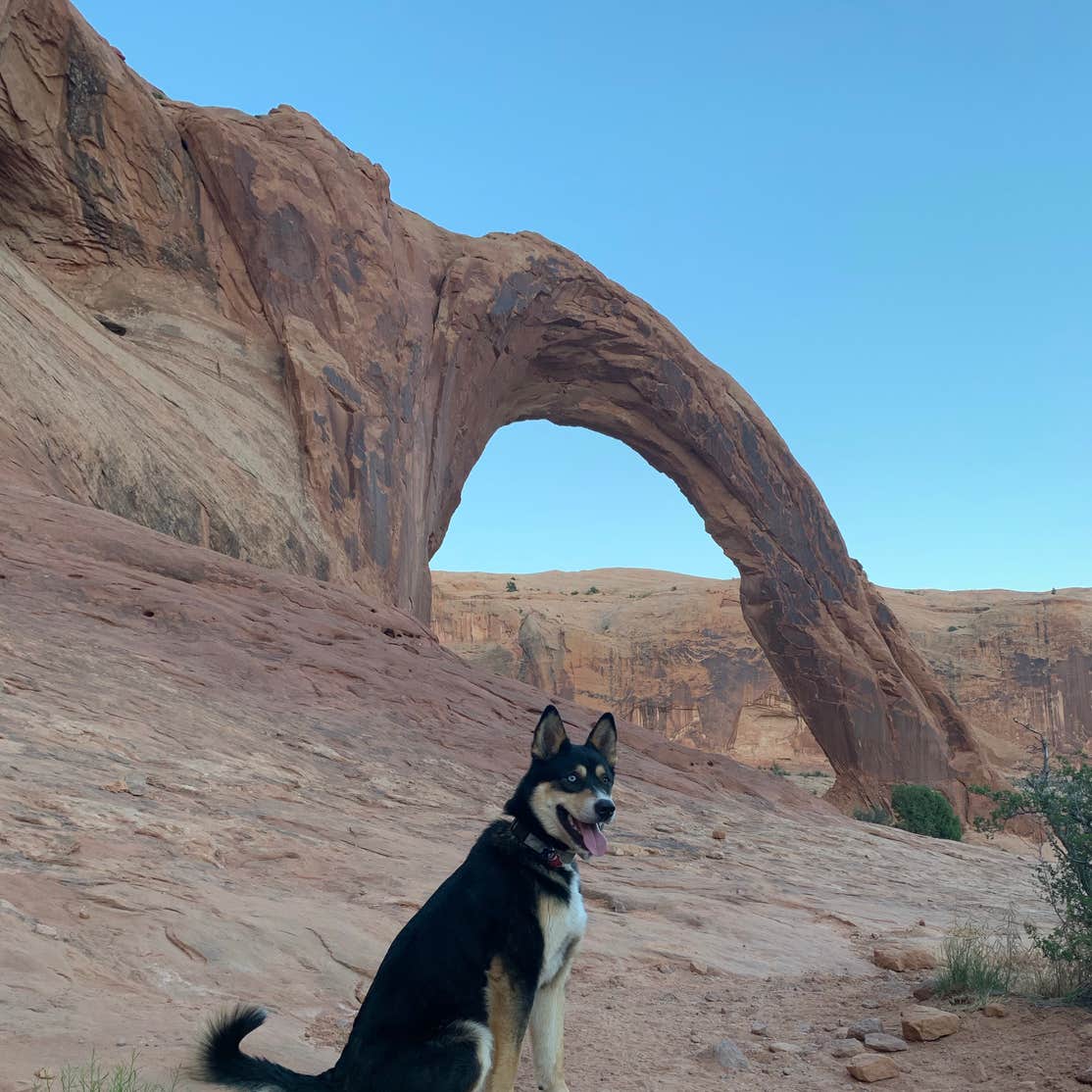 Potash Road (Dispersed) Camping | The Dyrt