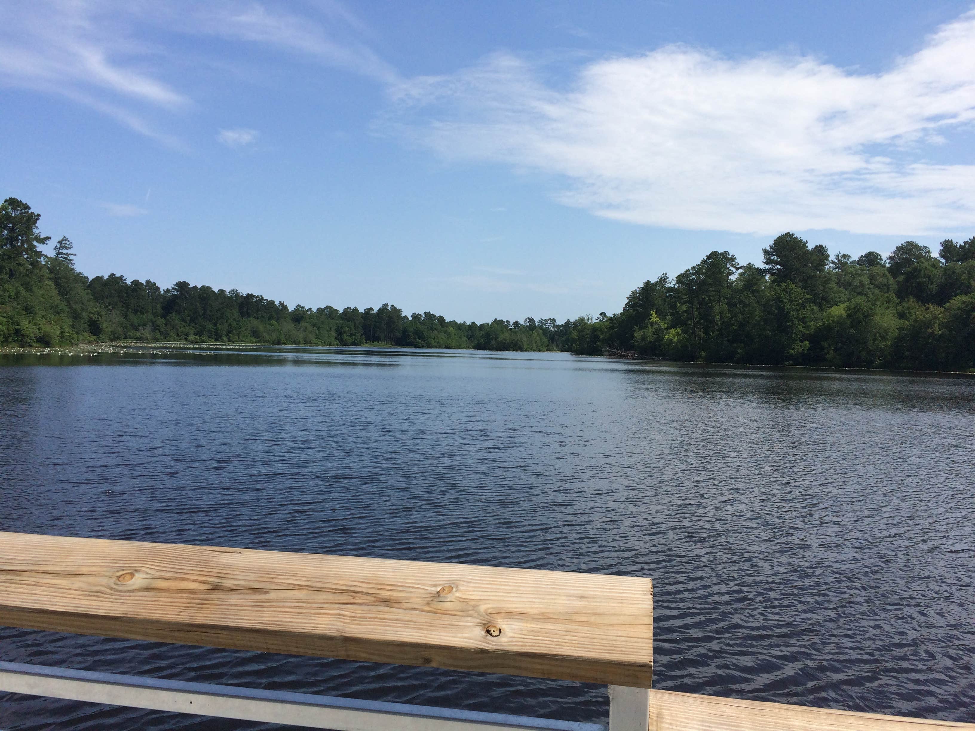 Magnolia Springs State Park Campground | Millen, GA